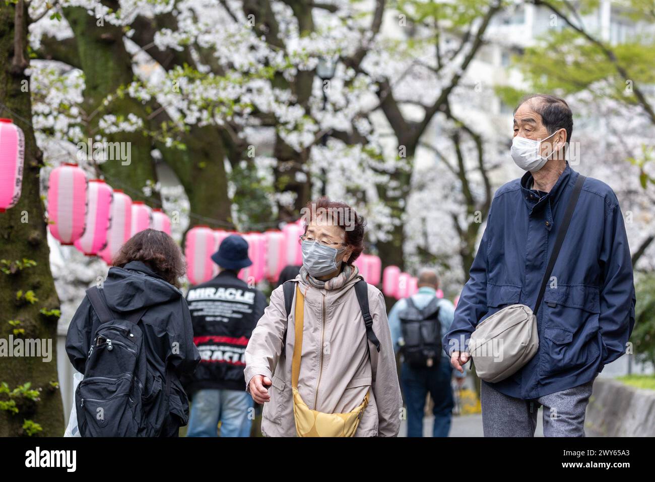 Tokyo, Japan. 4th Apr, 2024. Members of the public enjoy the view of ...
