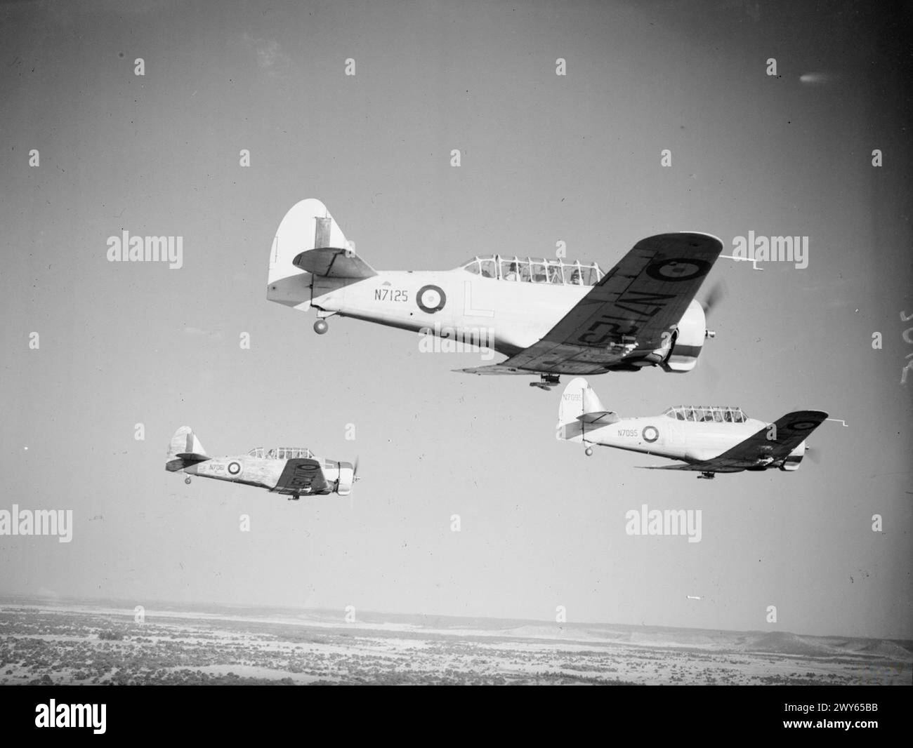 Three Harvard Mark I aircraft, N7125 'L', N7095 'N' and N7061, of No ...