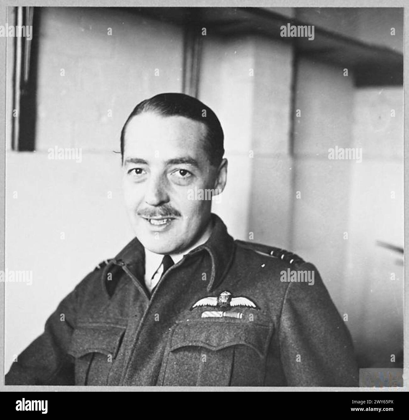 WING COMMANDER DIXON-WRIGHT, D.F.C. - , Royal Air Force Stock Photo - Alamy