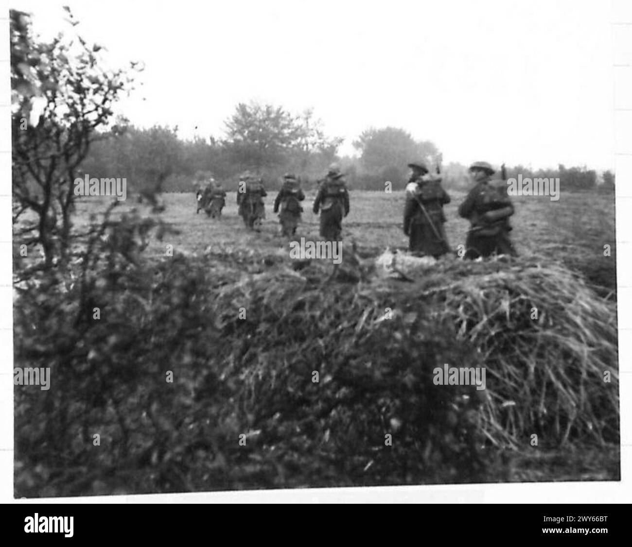 ROYAL SCOTTISH FUSILIERS REINFORCE RIGHT FLANK IN DRIVE FOR HOLLAND ...