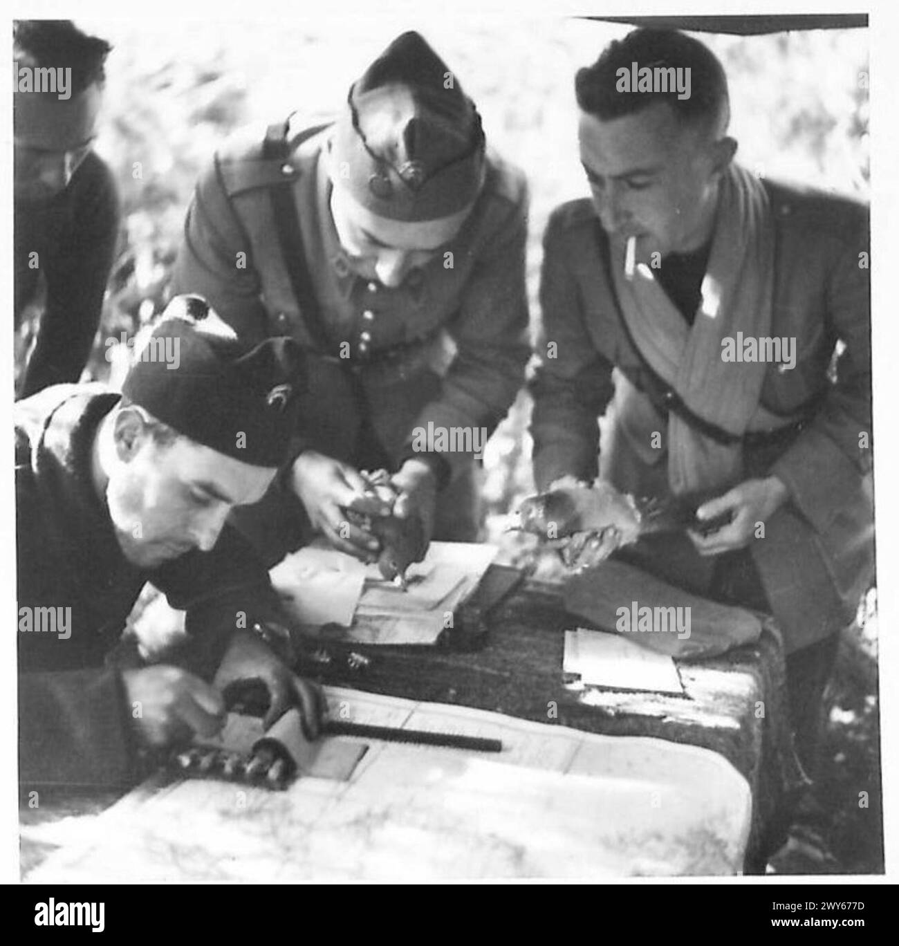 THE FRENCH ARMY IN THE TUNISIA CAMPAIGN, NOVEMBER 1942-MAY 1943 ...