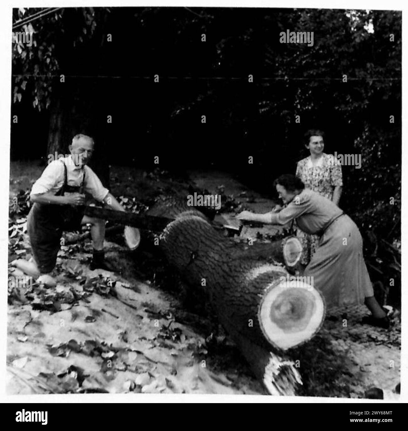 Disaster transport Cut Out Stock Images & Pictures - Alamy