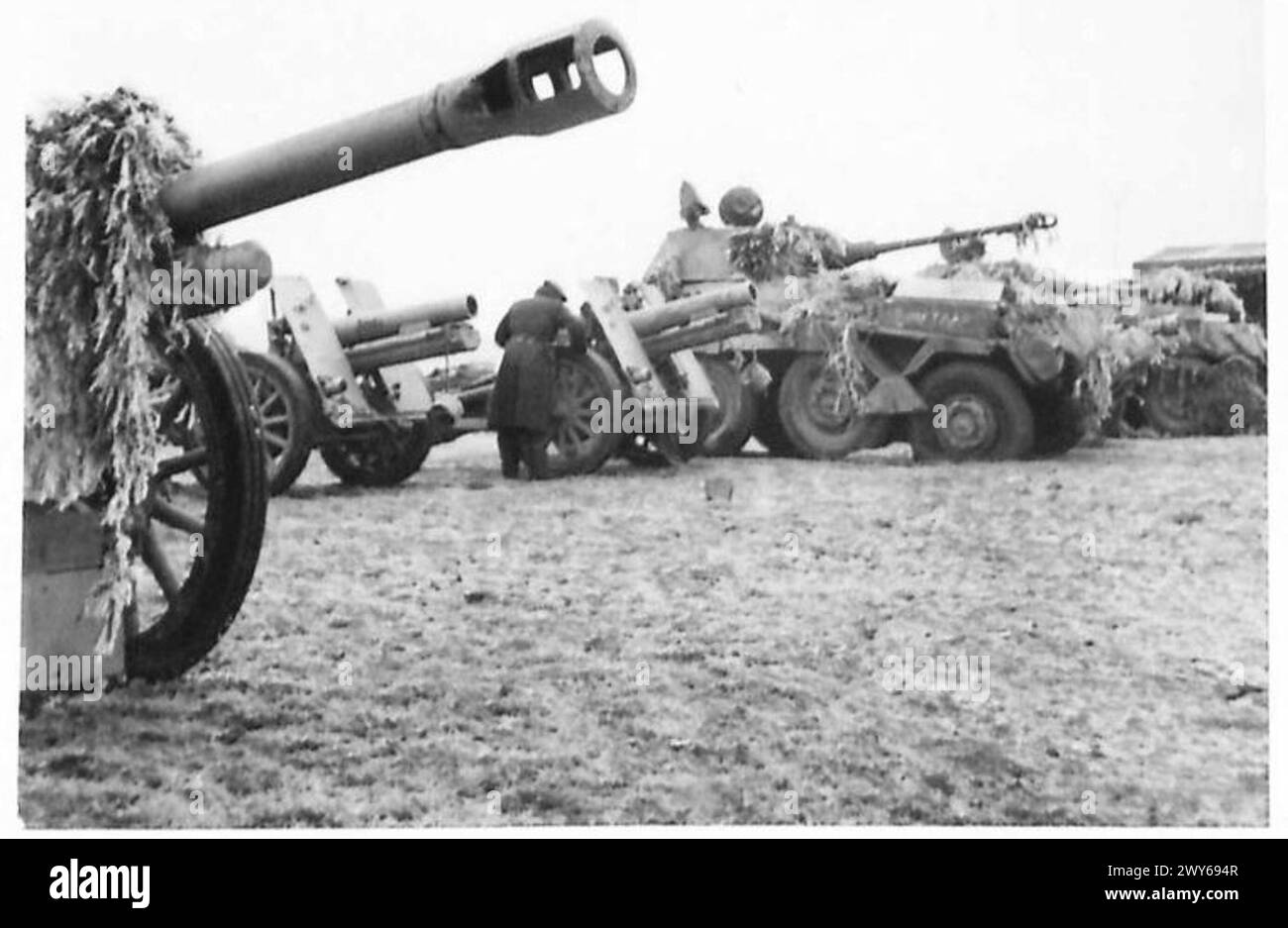 Field due Cut Out Stock Images & Pictures - Alamy