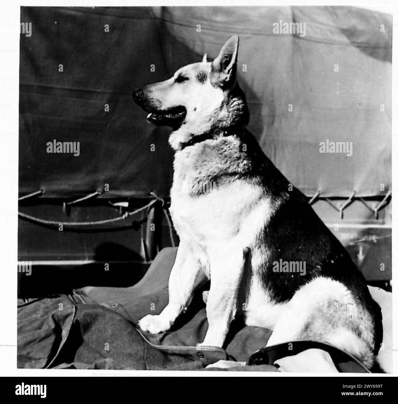 Broken leg ambulance Black and White Stock Photos & Images - Alamy