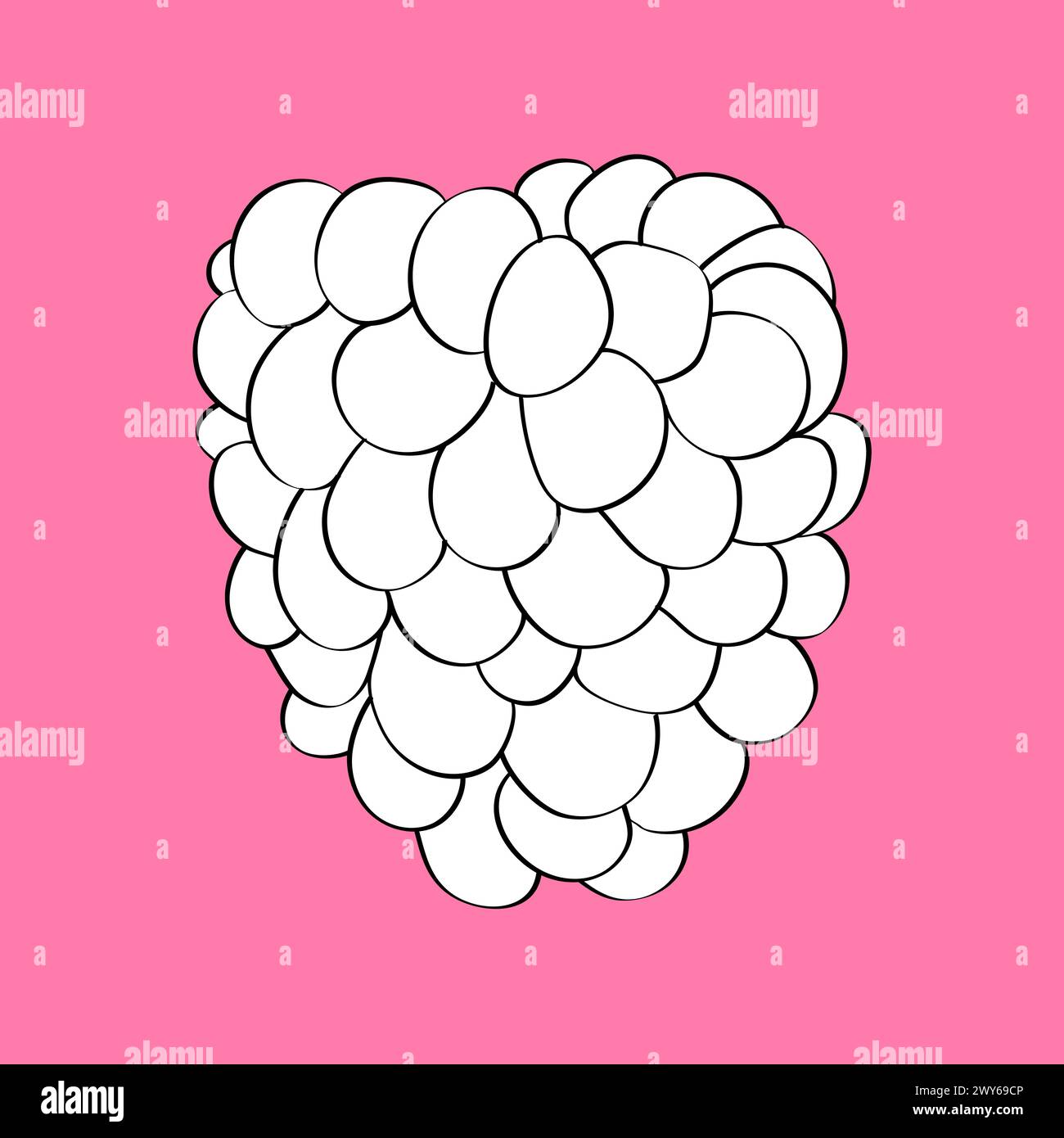Black and white raspberry, fresh and juicy, sits atop a soft pink ...