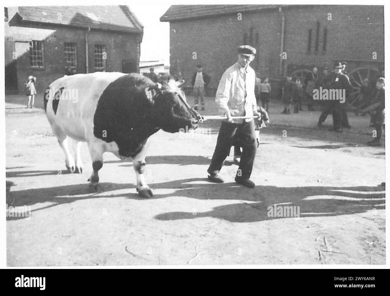 MILITARY GOVERNMENT GOES INTO ACTION - One of the farms of the Bedburg ...