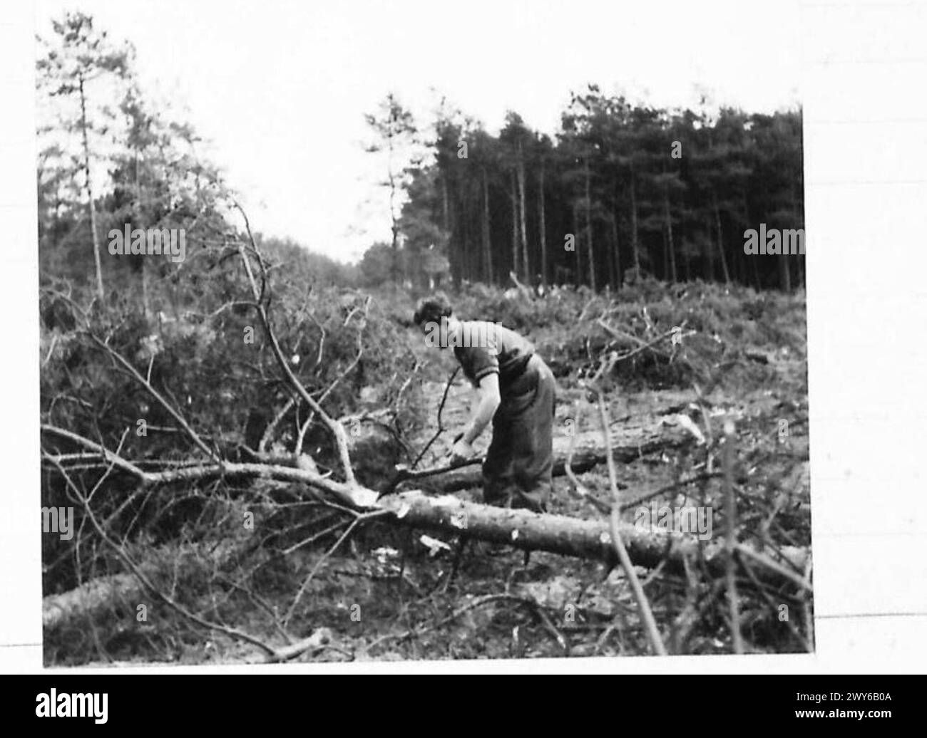 Log crossing bridge Black and White Stock Photos & Images - Alamy