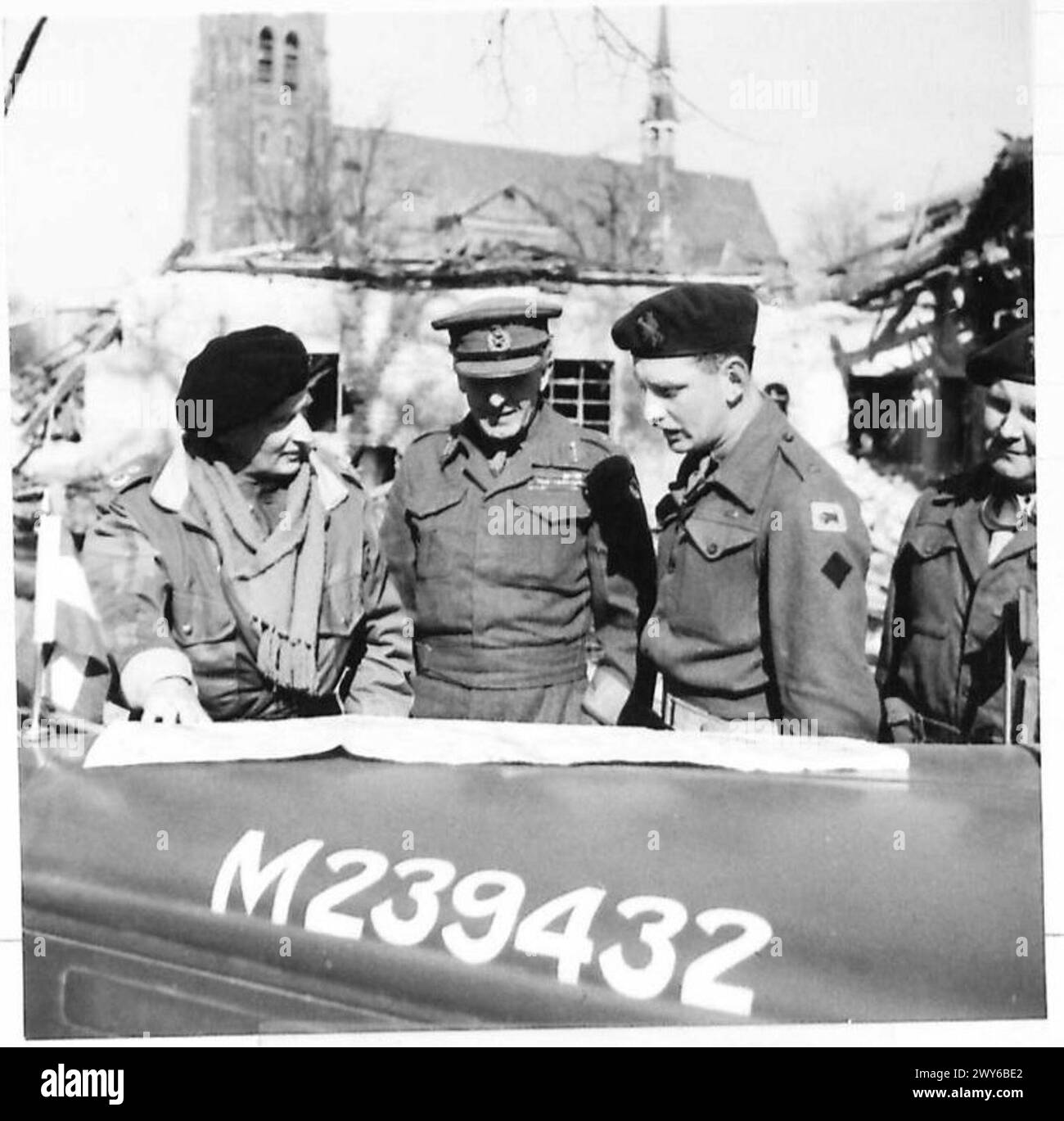 Baum group Cut Out Stock Images & Pictures - Alamy