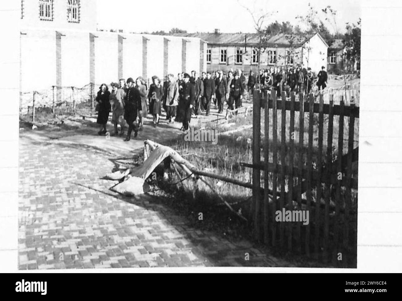 THE VUGHT CONCENTRATION CAMP - Collaborators, who are now imprisoned ...