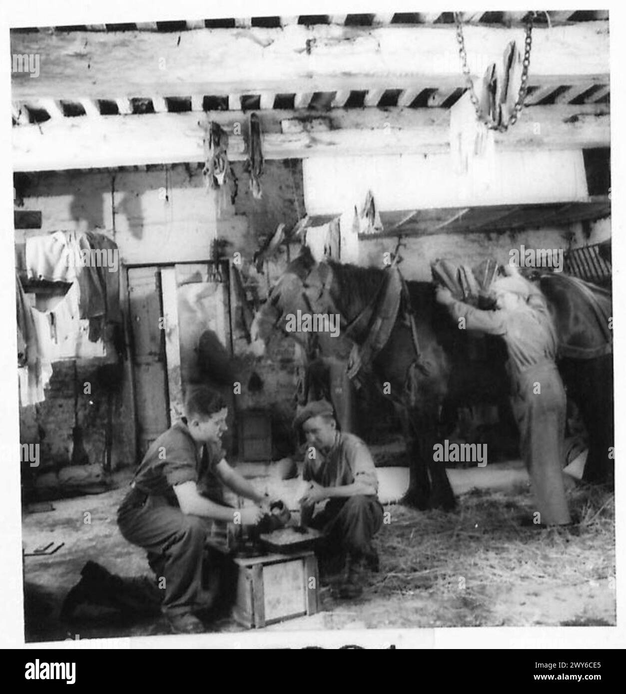 A FRONT LINE FARM IN FRANCE - A scene in one of the stables as two ...