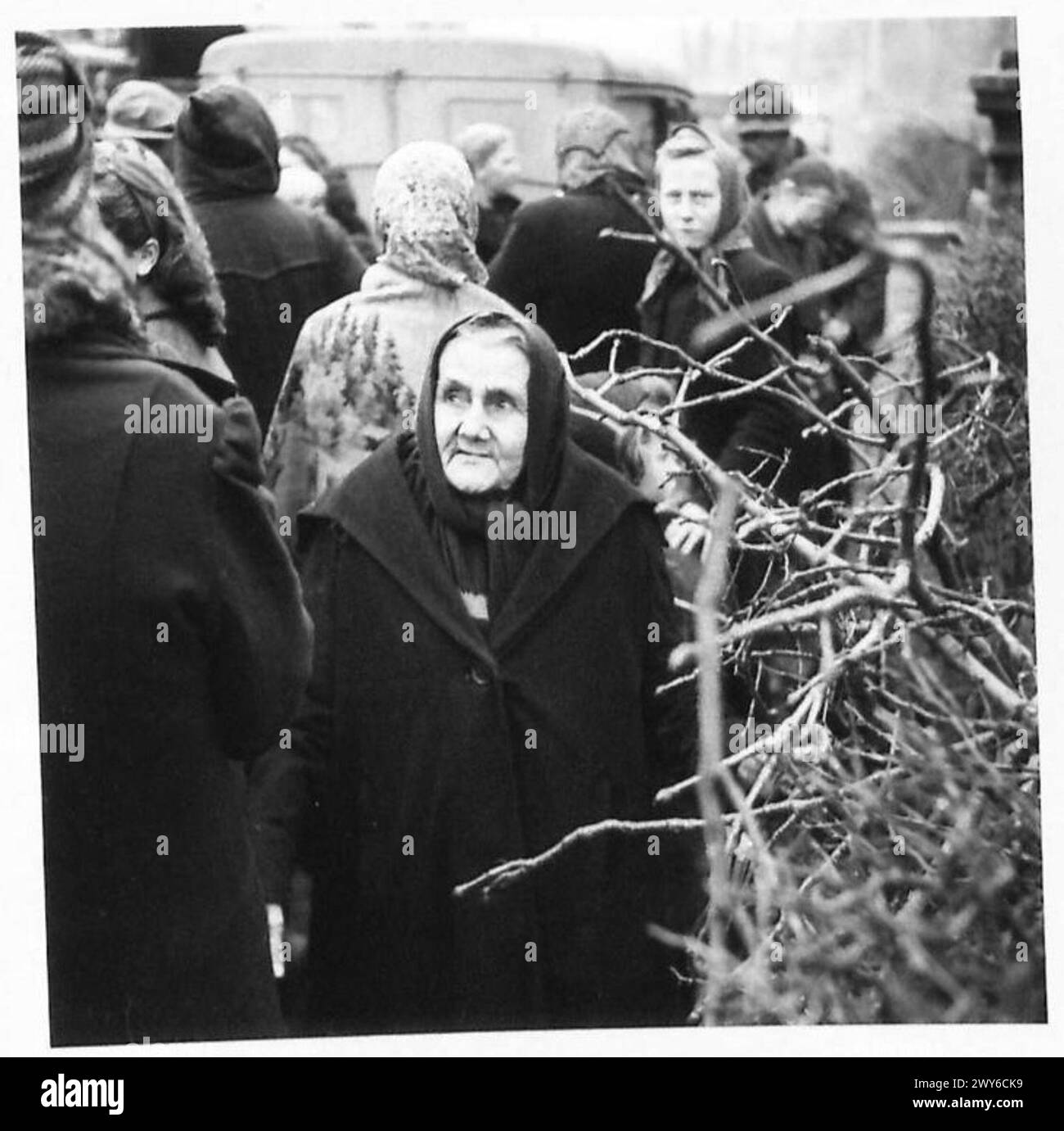 German refugees, including children and elderly, are seen debussing ...