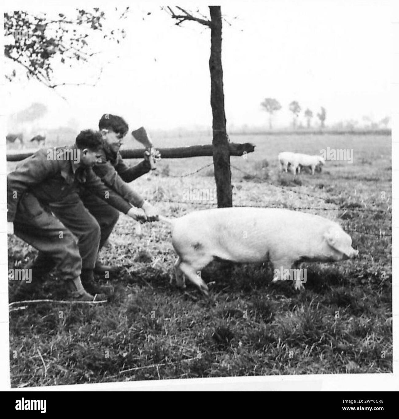 15th SCOTTISH ADVANCE ON TILBURG. - Evidently anticipating some fresh ...