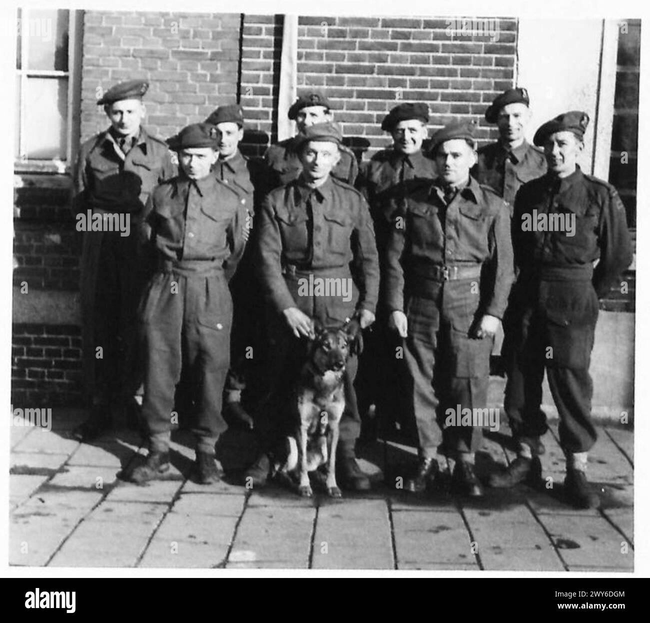 FACILITY VISIT - The M.T.Section with their mascot - Wolfe , British ...