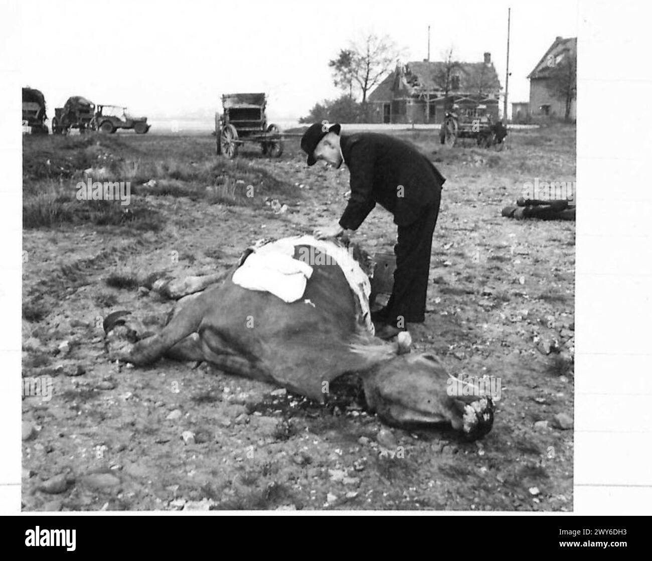 Acute dead Black and White Stock Photos & Images - Alamy