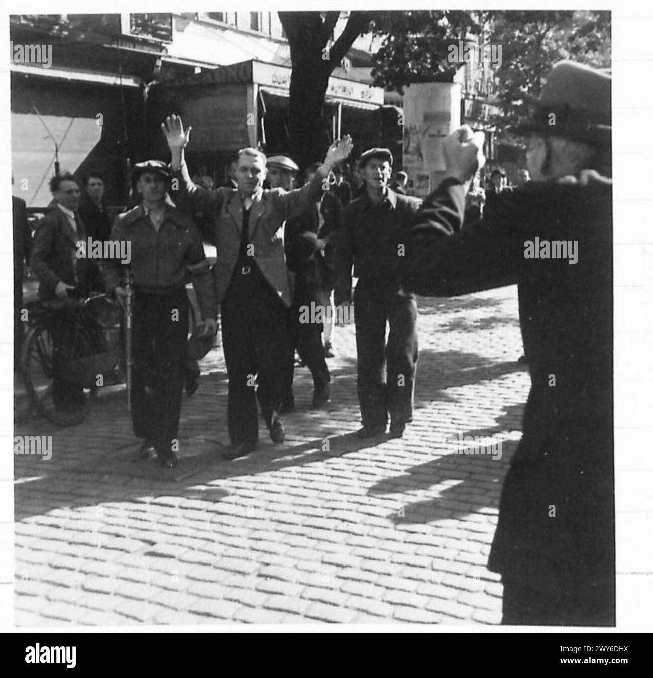 COLLABORATORS IN ANTWERP - A collaborator being marched to the lion's ...