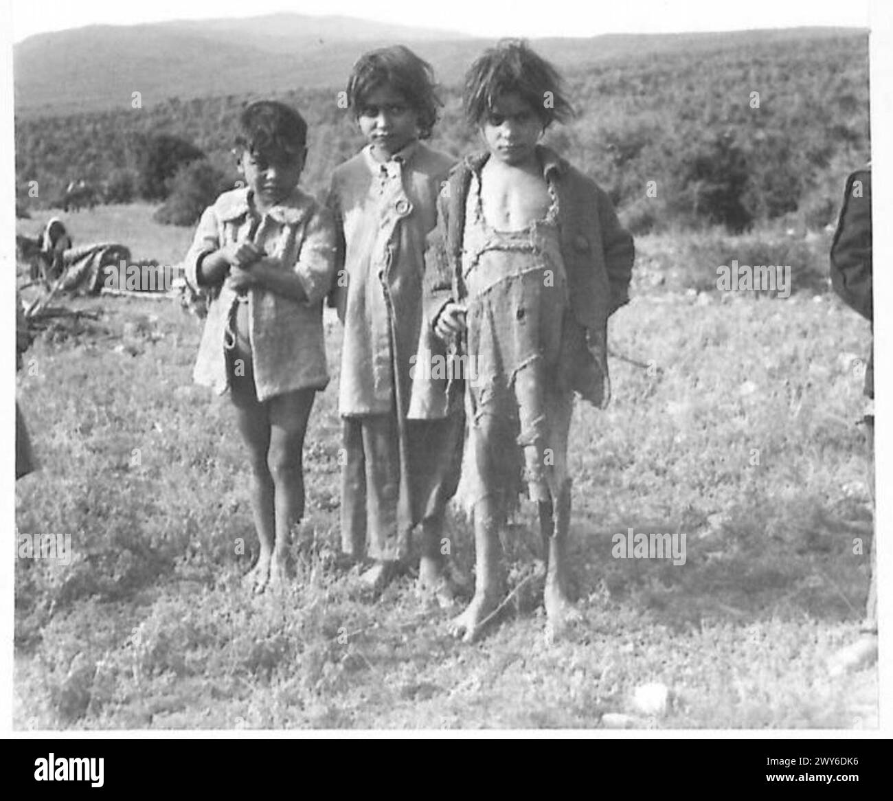 GREECE: VICTIMS OF THE GERMAN OCCUPATION - In Greece, the people who ...