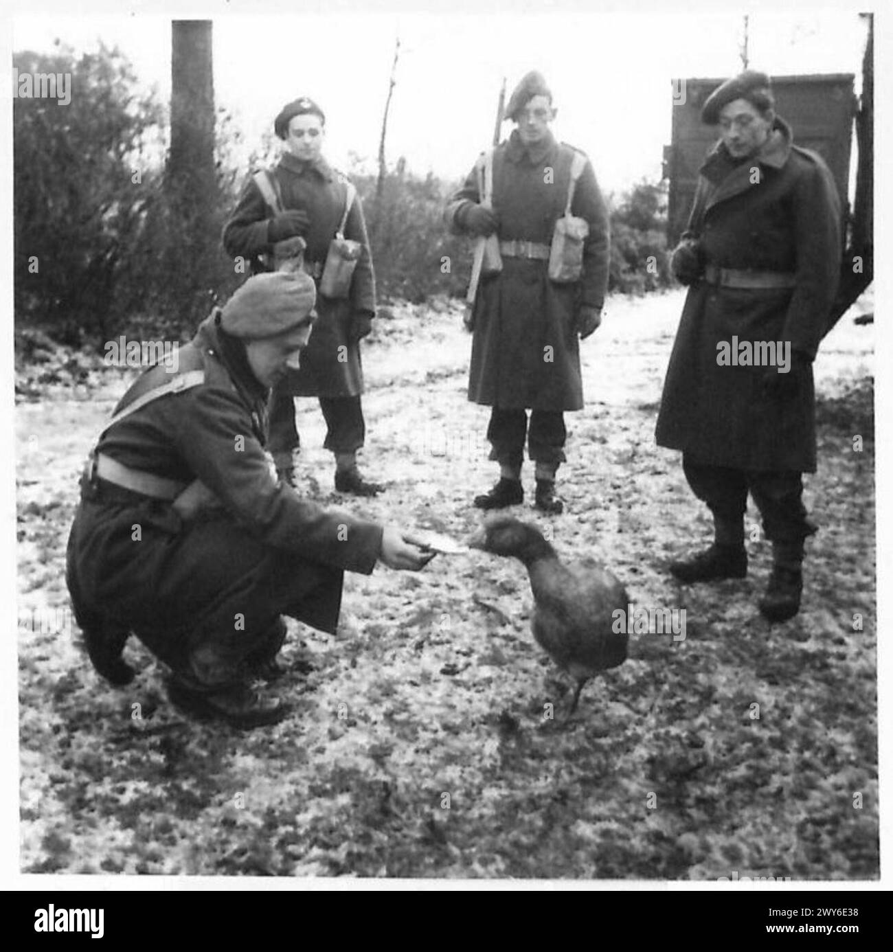 LT-GEN SIR CM DEMPSEY, KCB DSO MC - Lt-Gen Sir Myles C Dempsey's pet ...