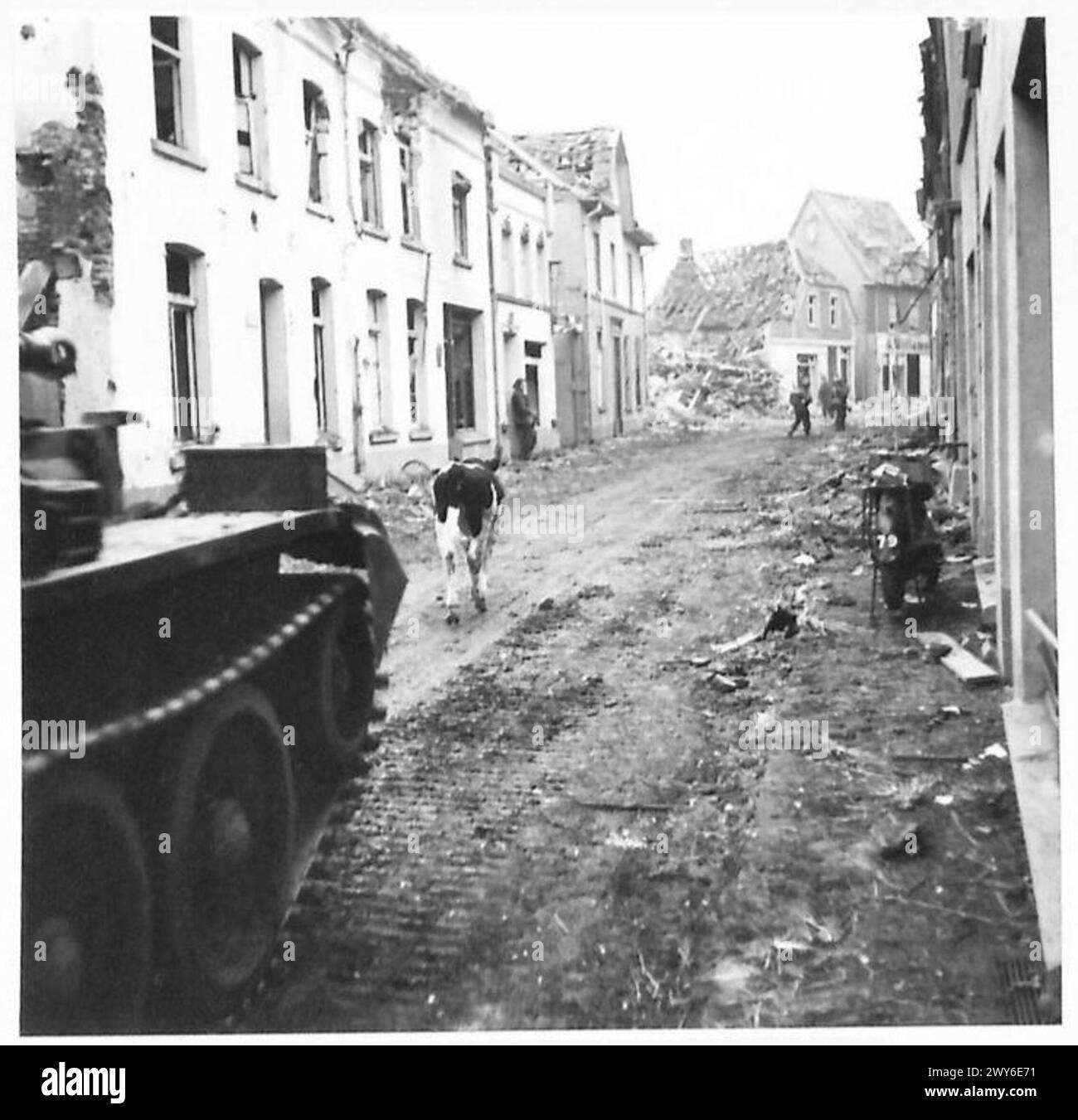 ACTION AT UDEM - Tank advancing in spite of the livestock. , British ...