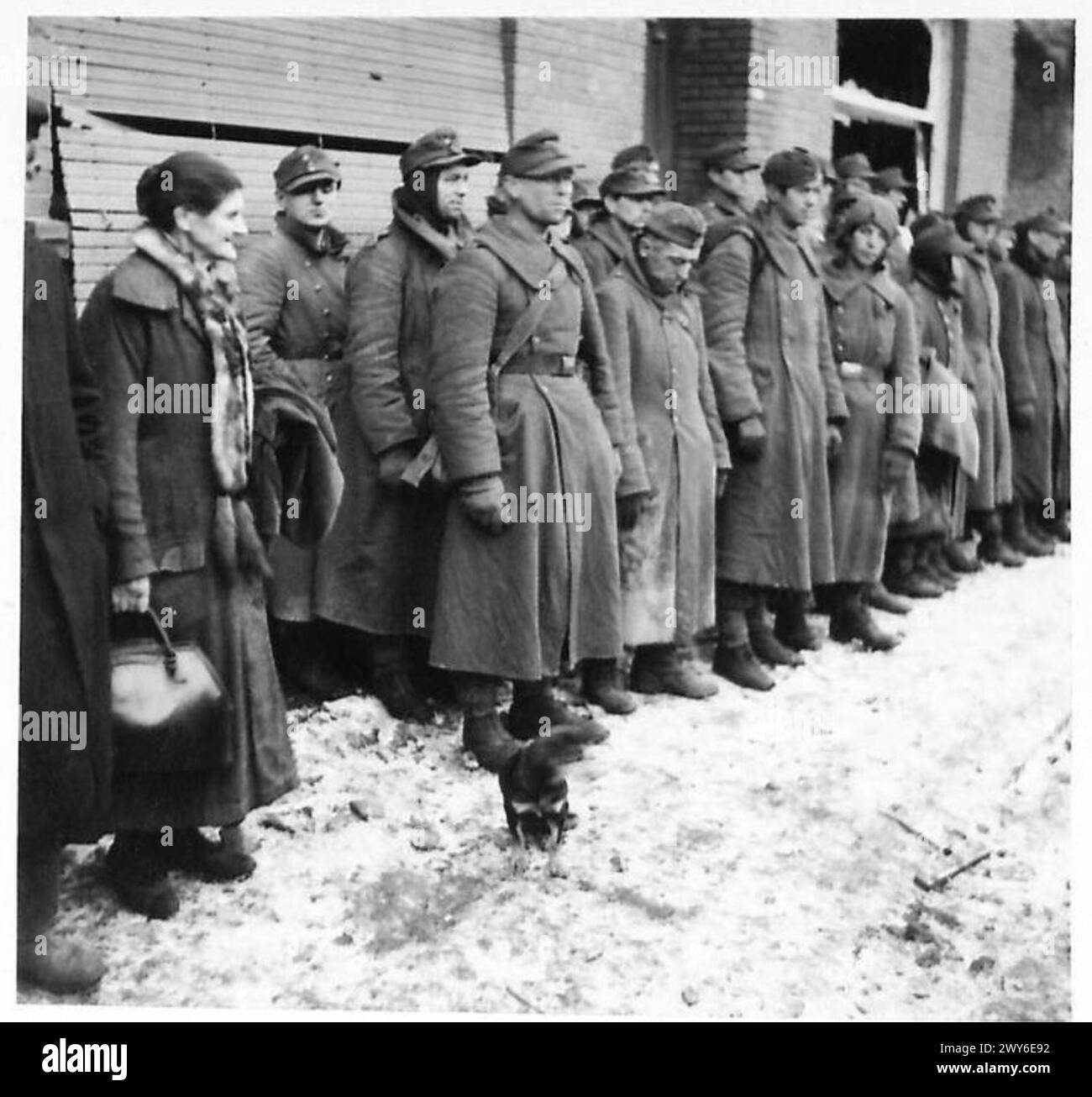 12 CORPS ADVANCE - German civilian and Army prisoners are lined up to ...