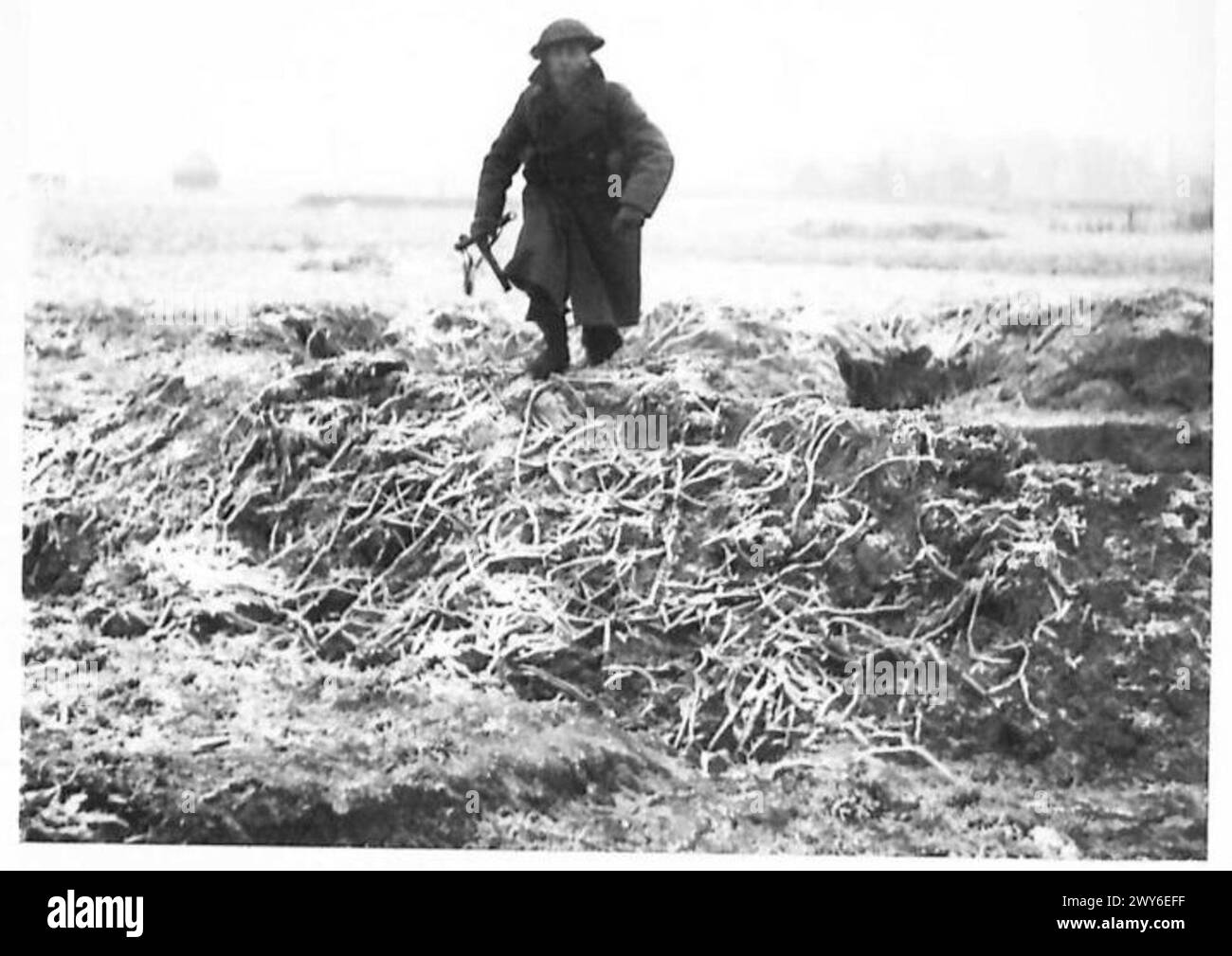 24 division Cut Out Stock Images & Pictures - Alamy