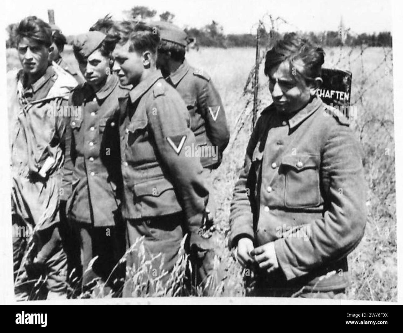 Young German prisoners are photographed in a cage behind the front line ...