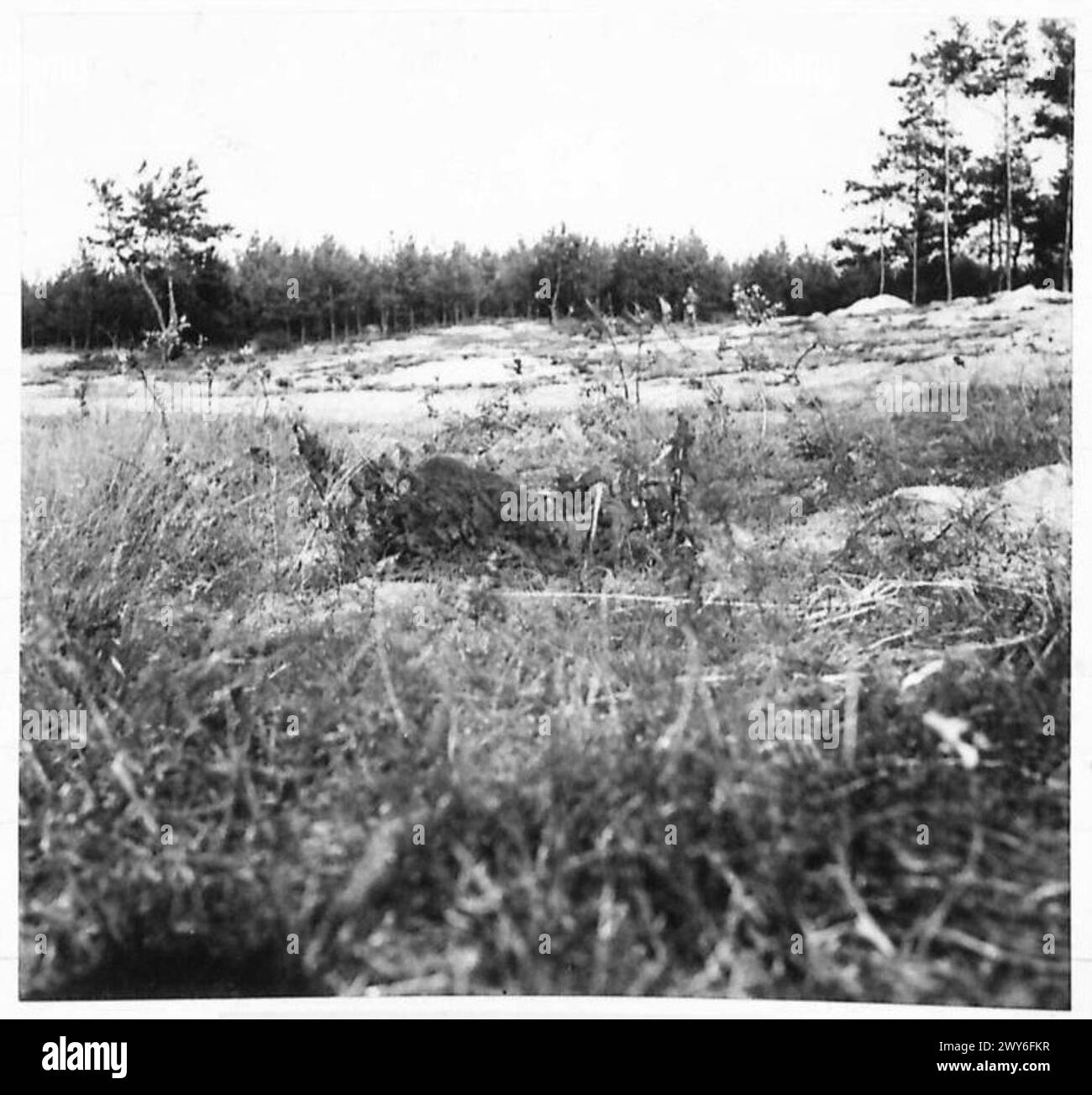 SCHOOL FOR SNIPERS - The sniper photographed at a distance of five ...
