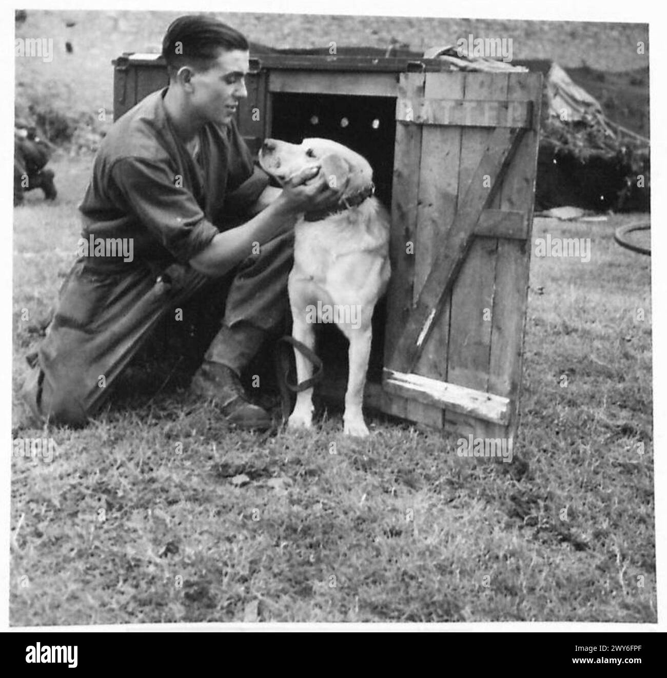 A military working dog named 'Batter' and his handler are outside a ...