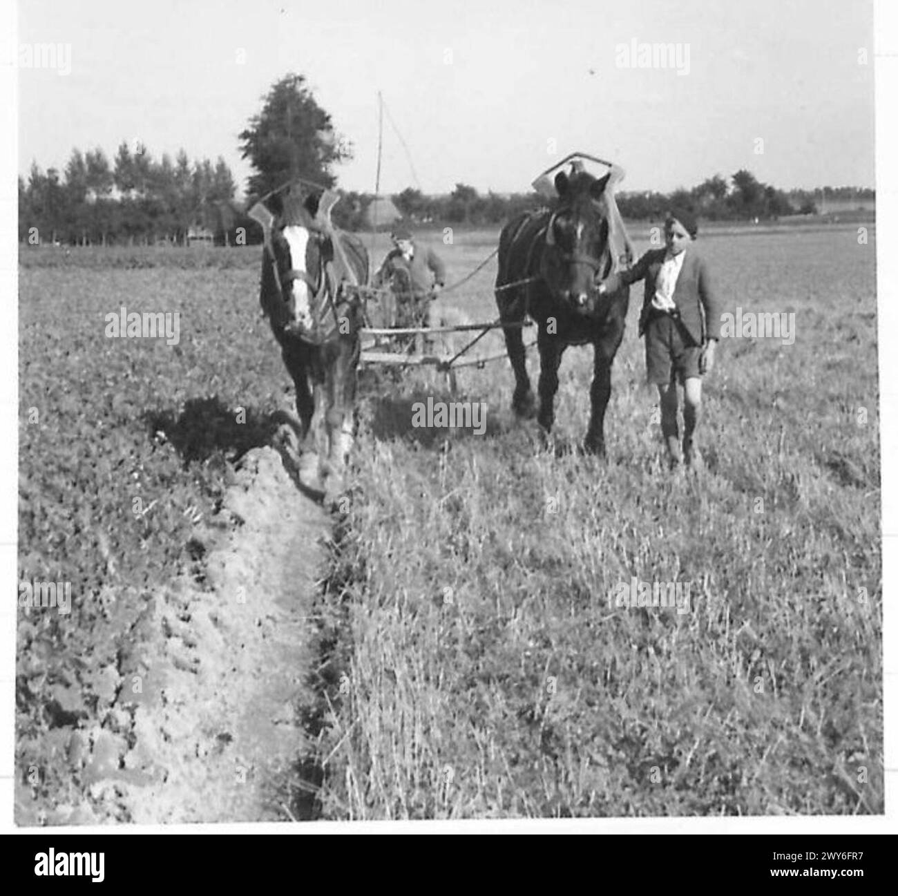 Farm hands in Brittany prepare the soil for sowing during ongoing ...