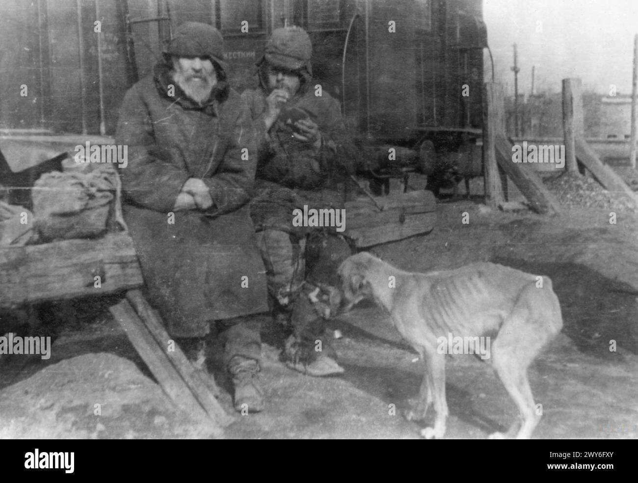 Polish army airmen sailors hi-res stock photography and images - Alamy