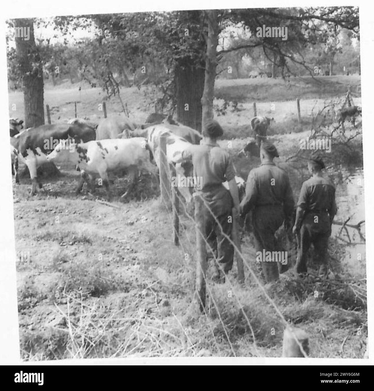 A FRONT LINE FARM IN FRANCE - British soldiers give M. Bekaort the ...