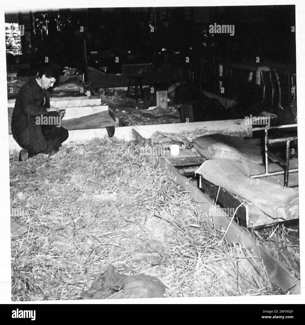 Straw bed Black and White Stock Photos & Images - Alamy