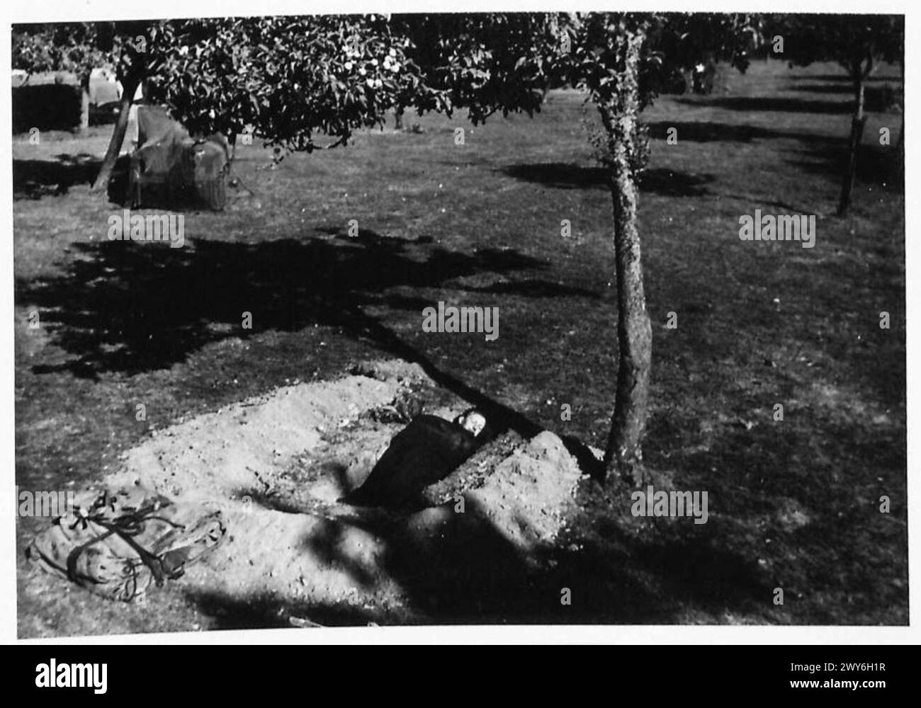 BRITISH TROOPS IN NORMANDY ORCHARDS - Under the shade of the old apple ...