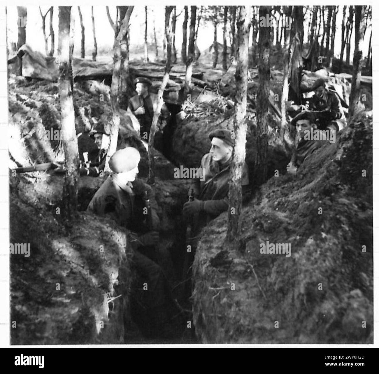 INFANTRY DIG IN NEAR THE BANKS OF THE RIVER MAAS - In the dugouts on ...