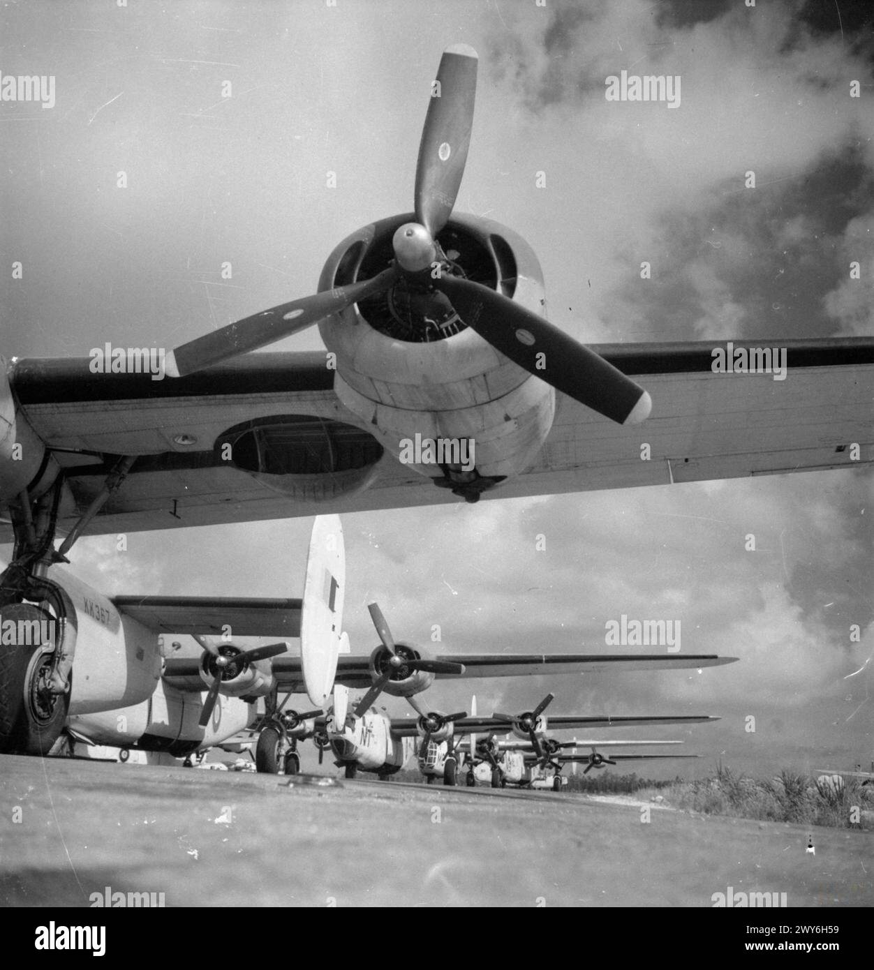 ROYAL AIR FORCE COASTAL COMMAND, 1939-1945. - Consolidated Liberator ...