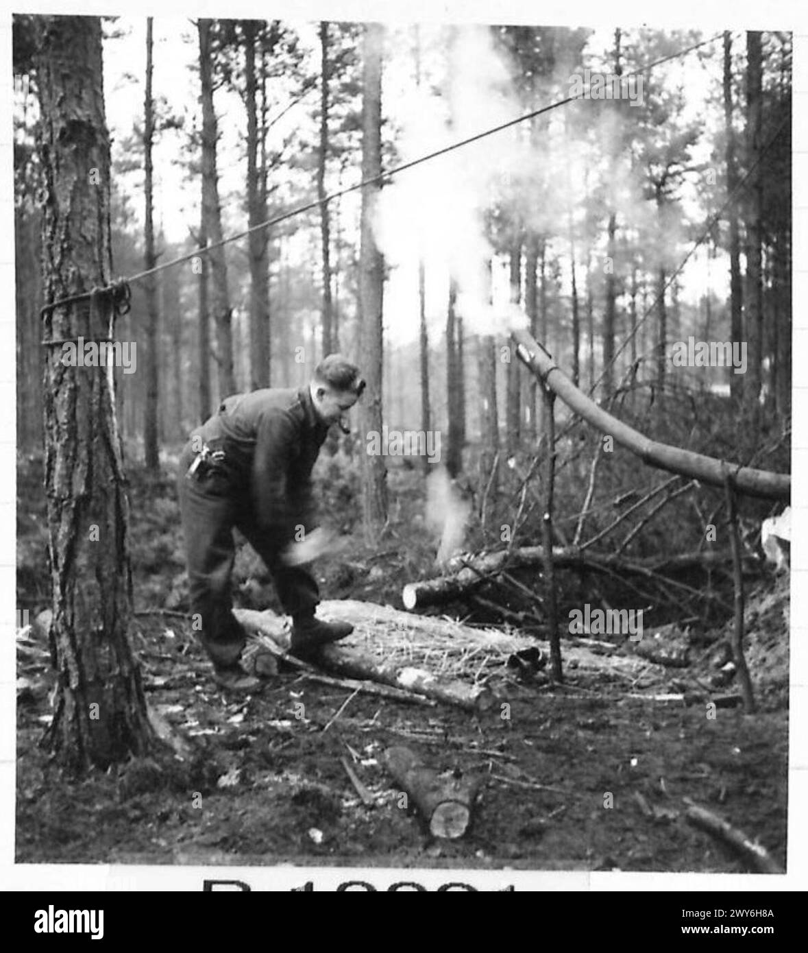 ARMY LUMBERJACKS IN HOLLAND - One of the lumberjacks chopping wood for ...