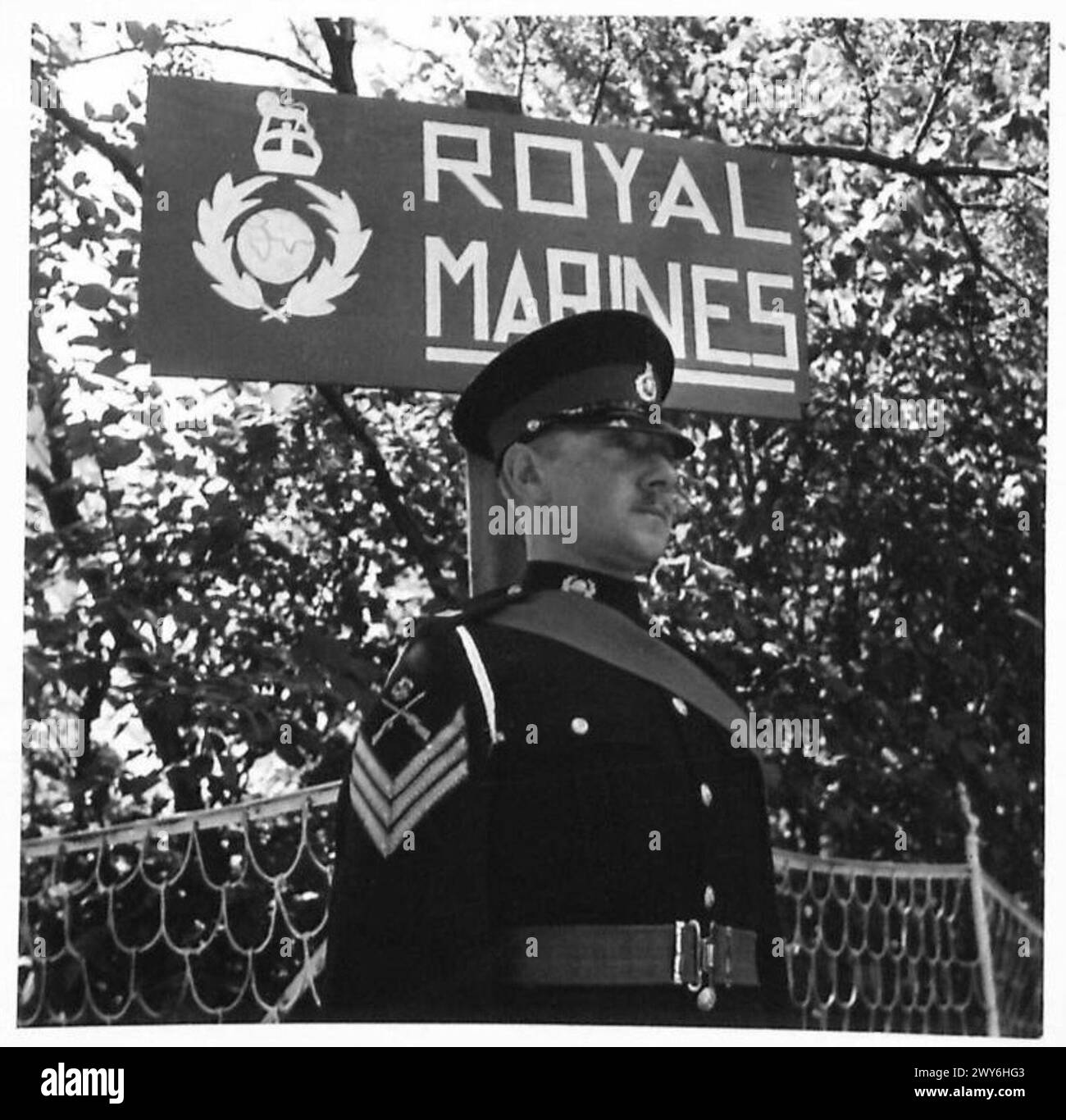 SERGEANT PHILIP LONGTON : OBSERVER STORY - Portrait of Sergeant Longton ...