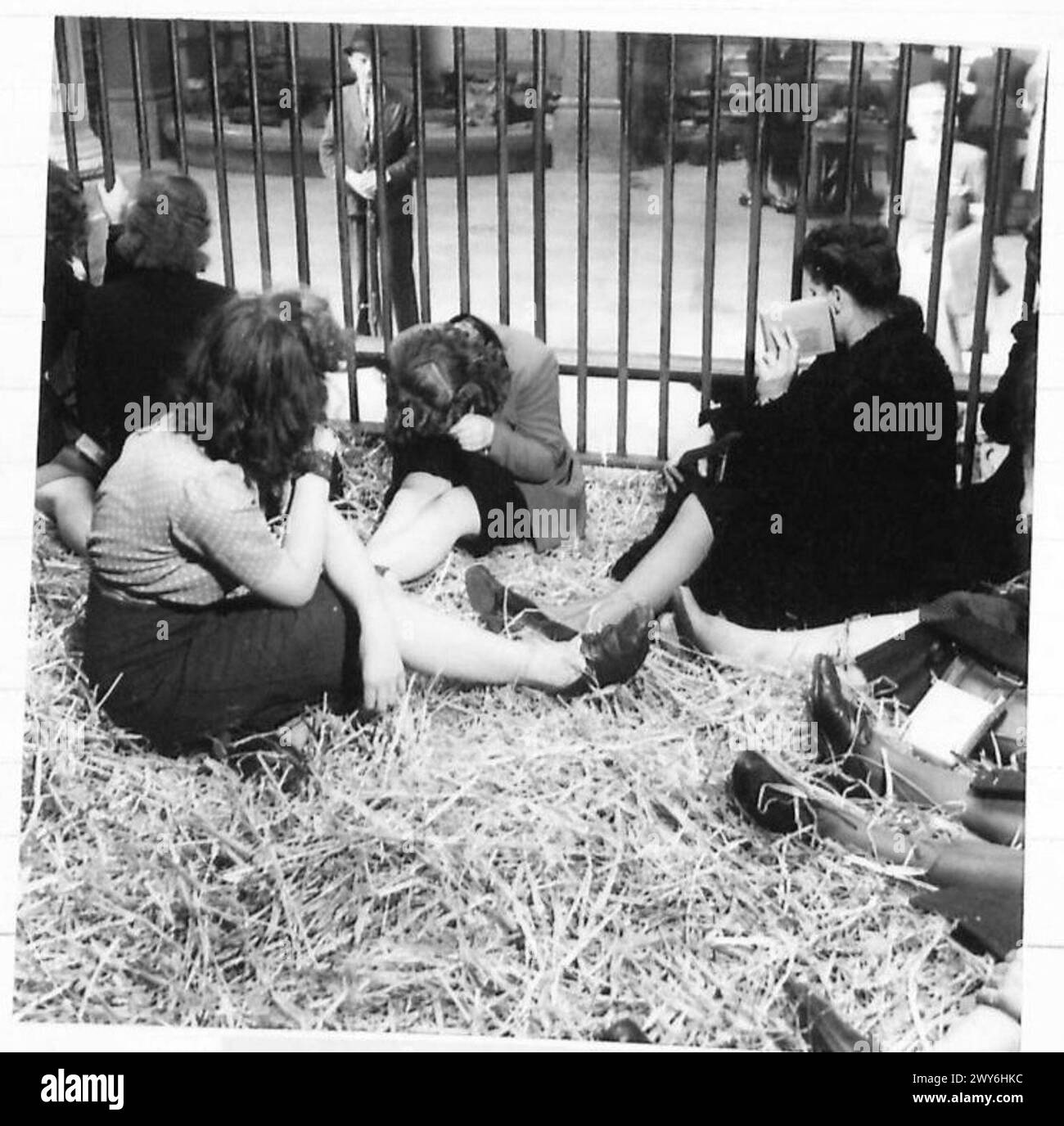 Women collaborators and German personnel are shown in the lion’s cage ...