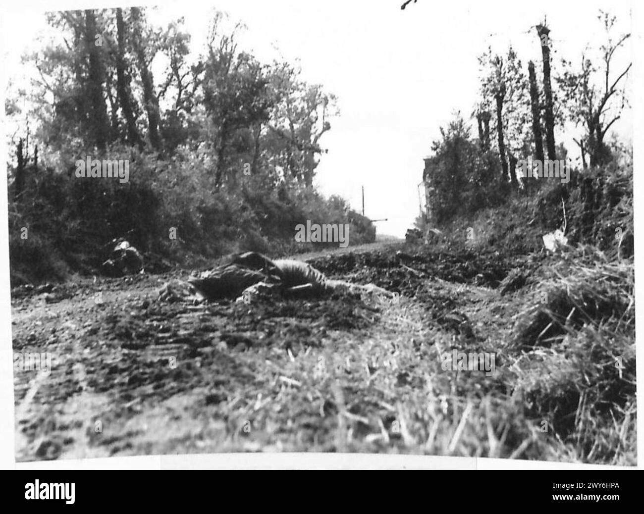 German casualties lie along a roadway near Tilly sur Seulles as the ...