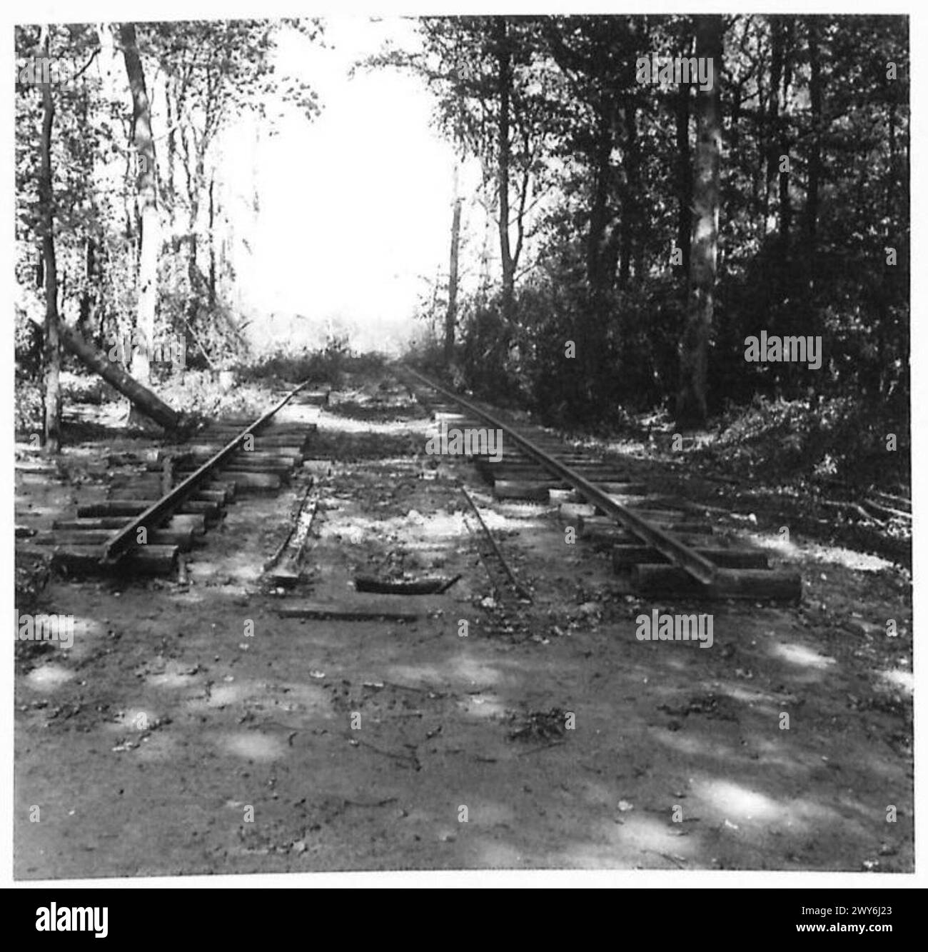 Launching v Cut Out Stock Images & Pictures - Alamy