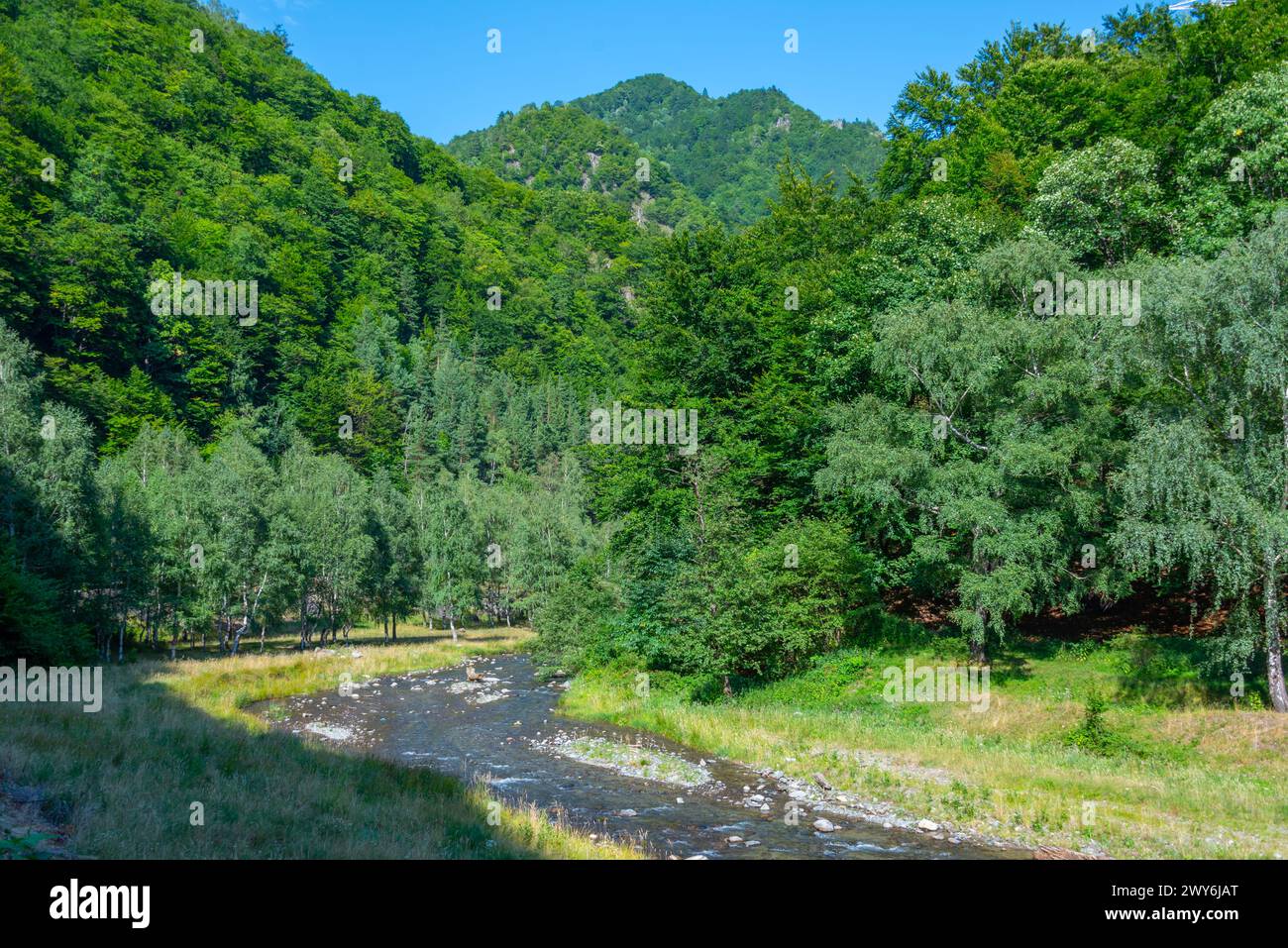 Arges river hi-res stock photography and images - Alamy