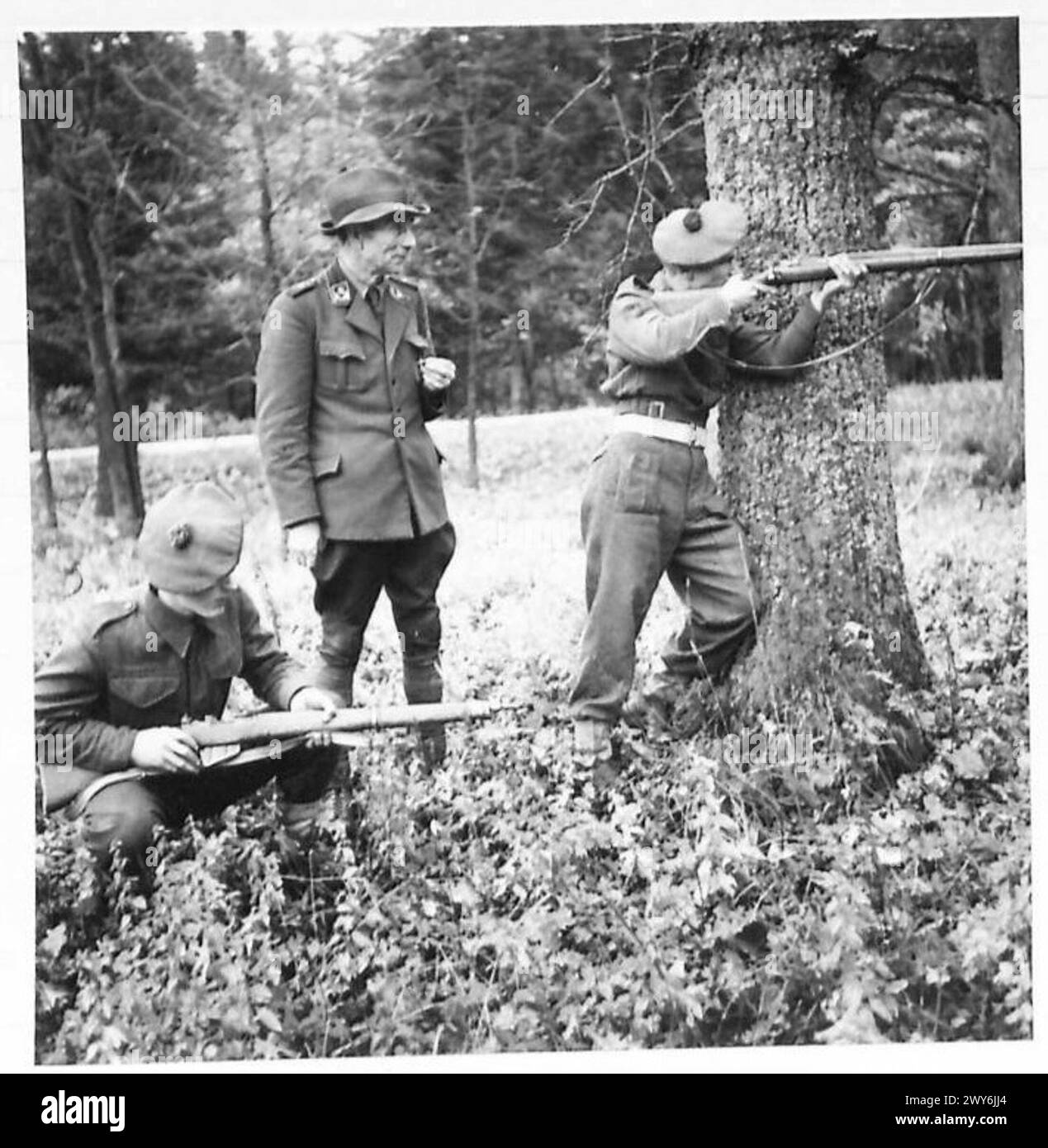 MEAT FOR GERMANS - Private Raine of Barnard Castle, Co.Durham and ...