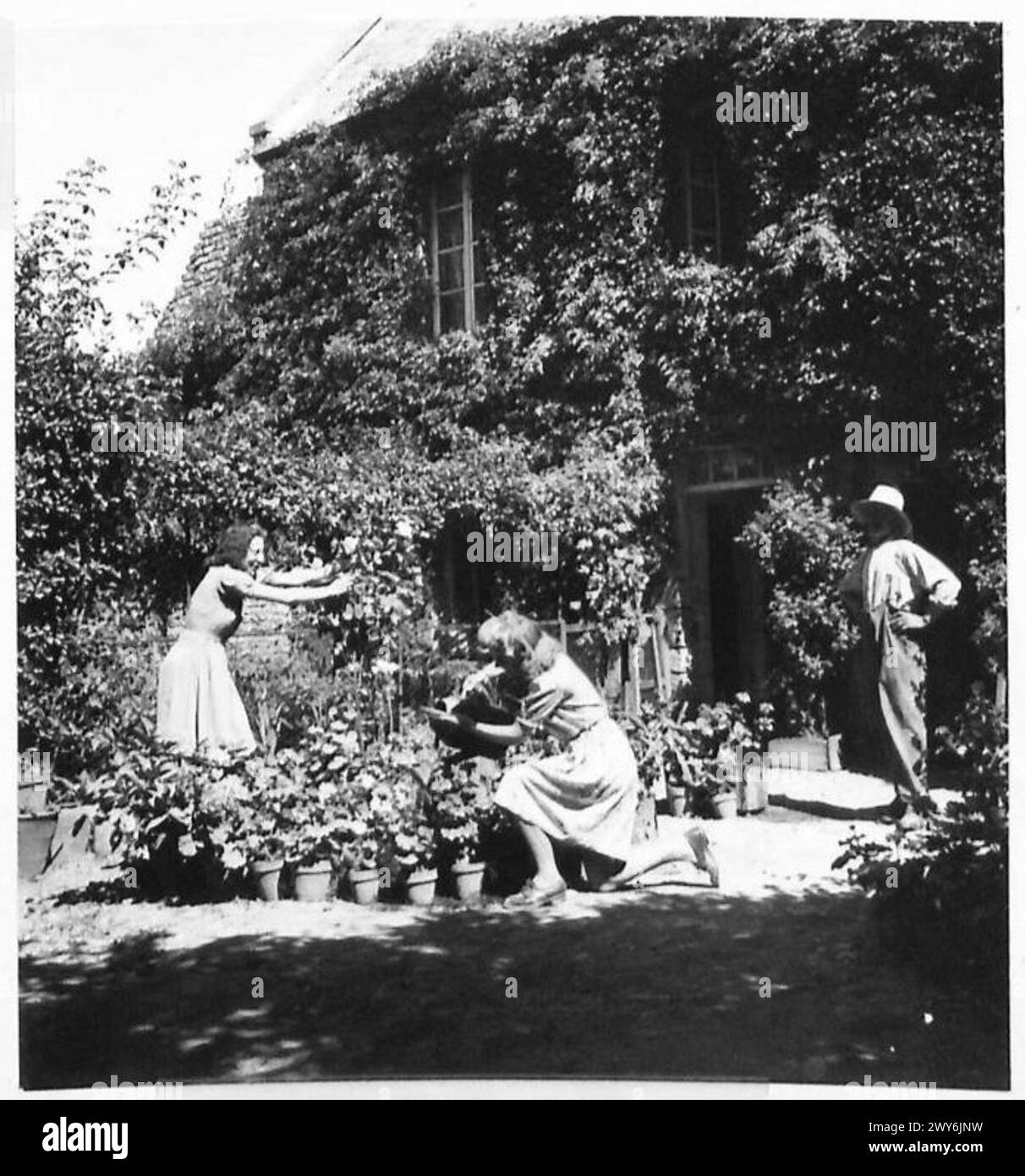 LIFE IN A FRENCH VILLAGE - Tending the pretty garden at the back of ...