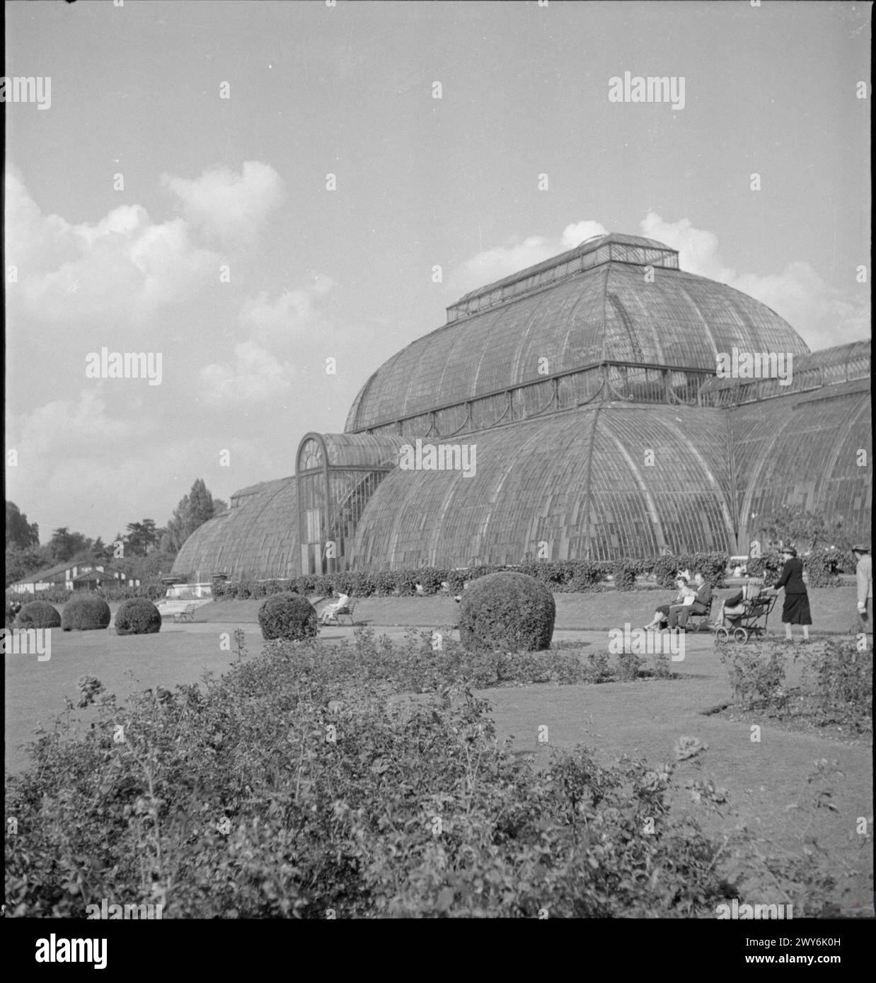 In 1943, visitors at Kew Gardens walk through the rose garden and pass ...