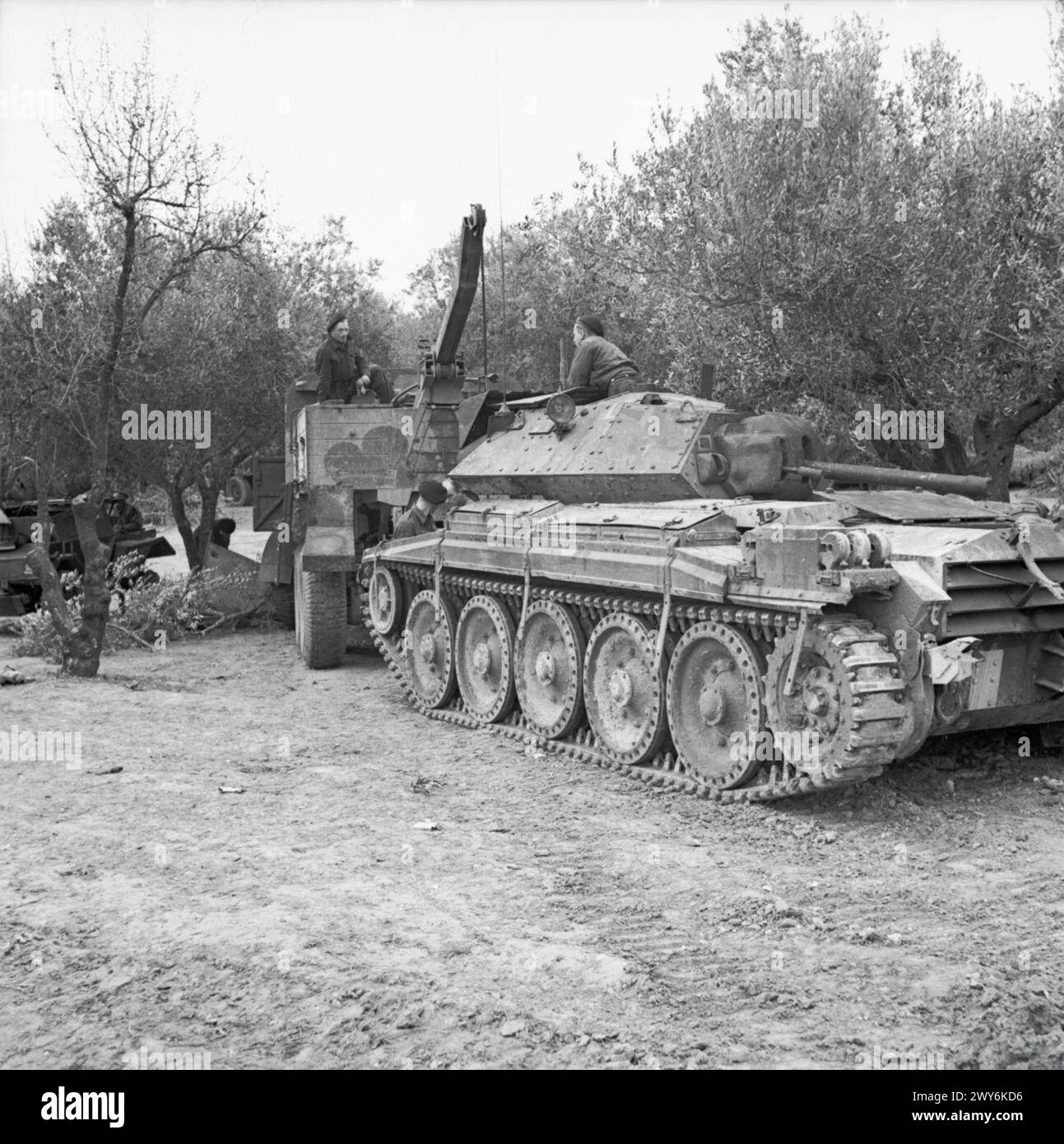 A Scammell Pioneer recovery lorry tows a disabled Crusader tank into a ...
