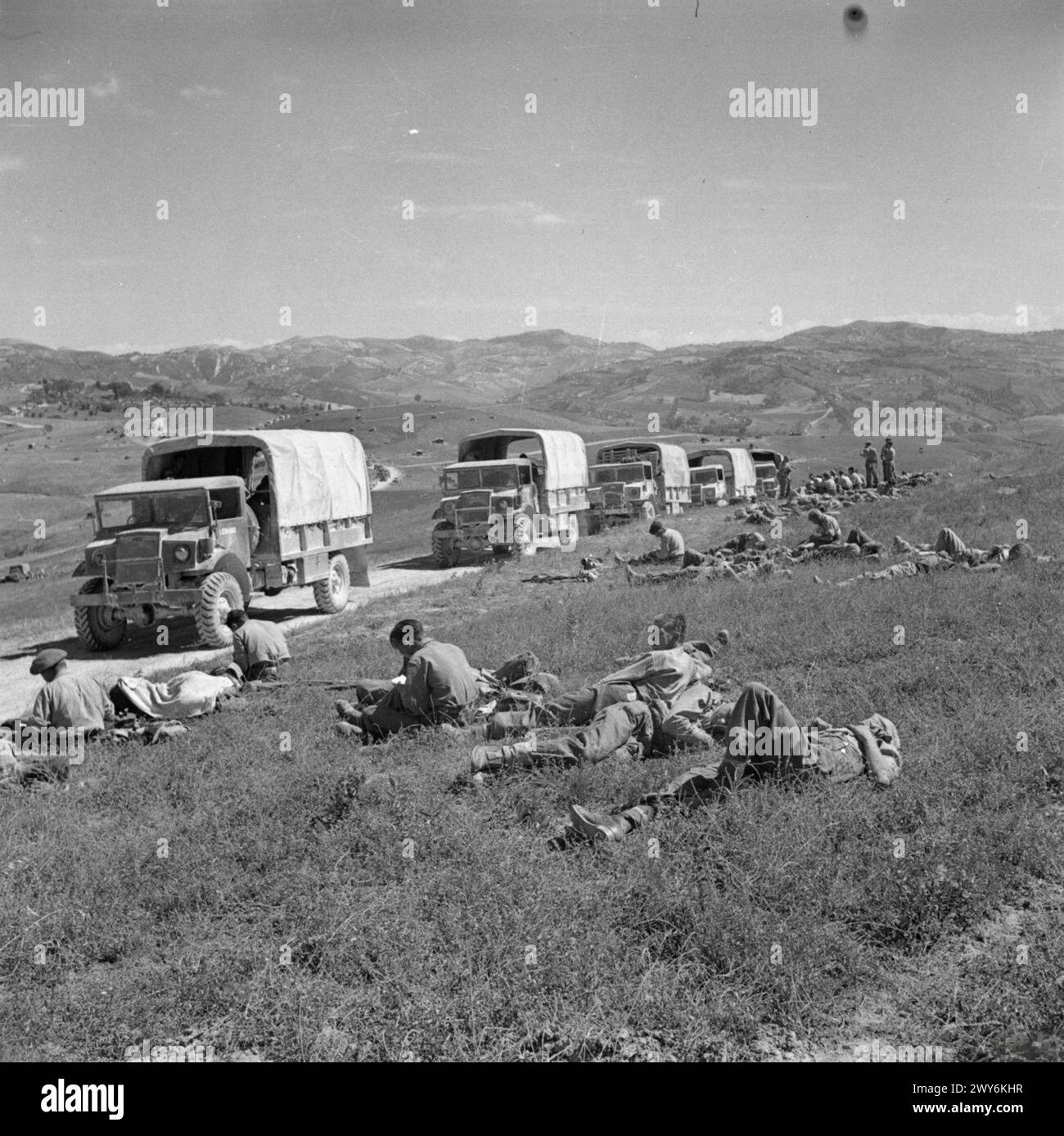 THE BRITISH ARMY IN ITALY 1944 - A line of supply lorries and their ...