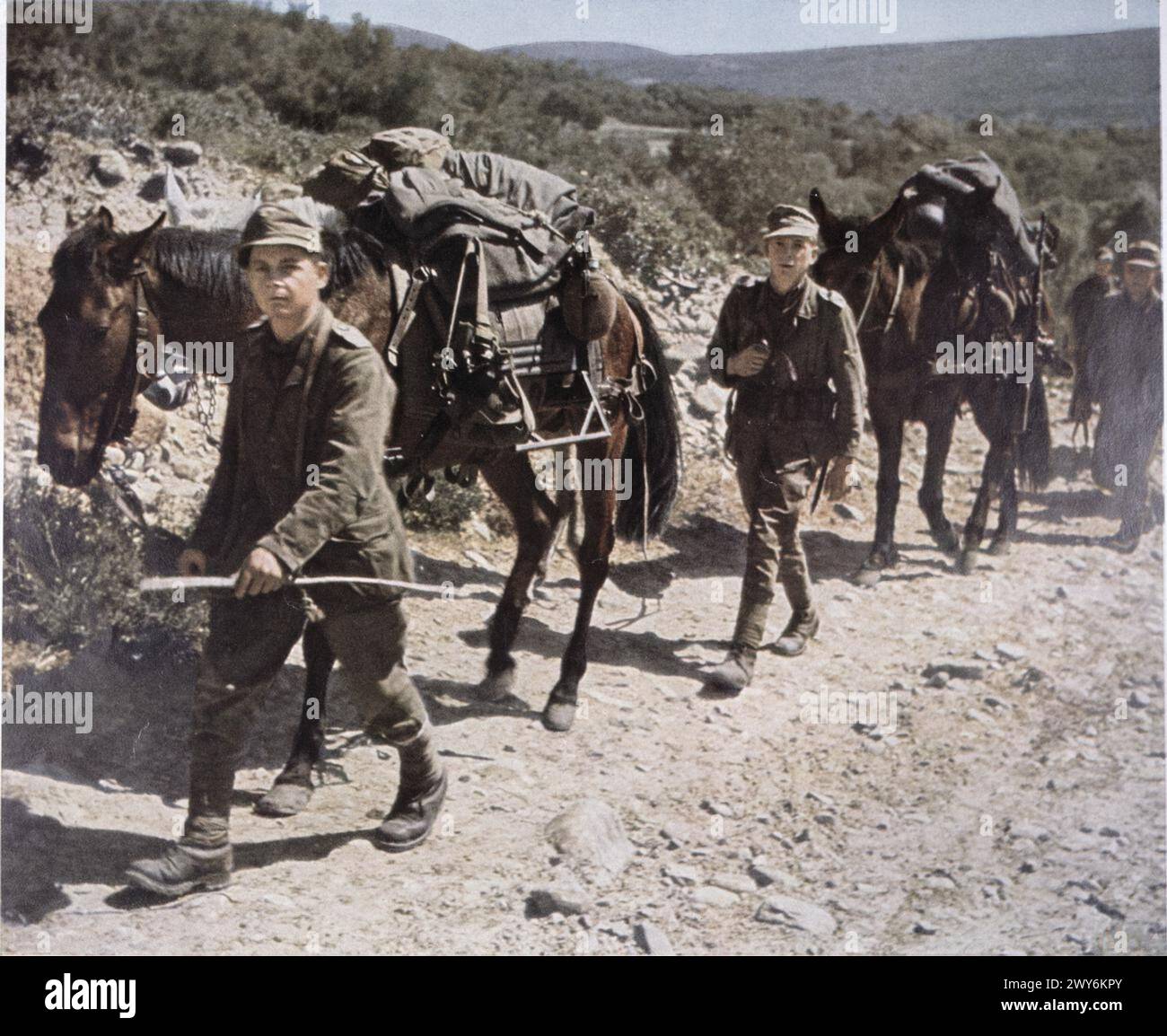 German Gebirgsjäger (mountain troops) are shown with pack animals in ...