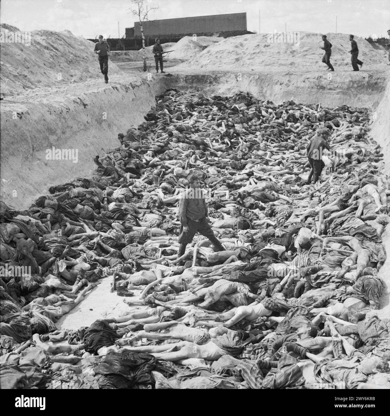 Camp doctor hi-res stock photography and images - Alamy