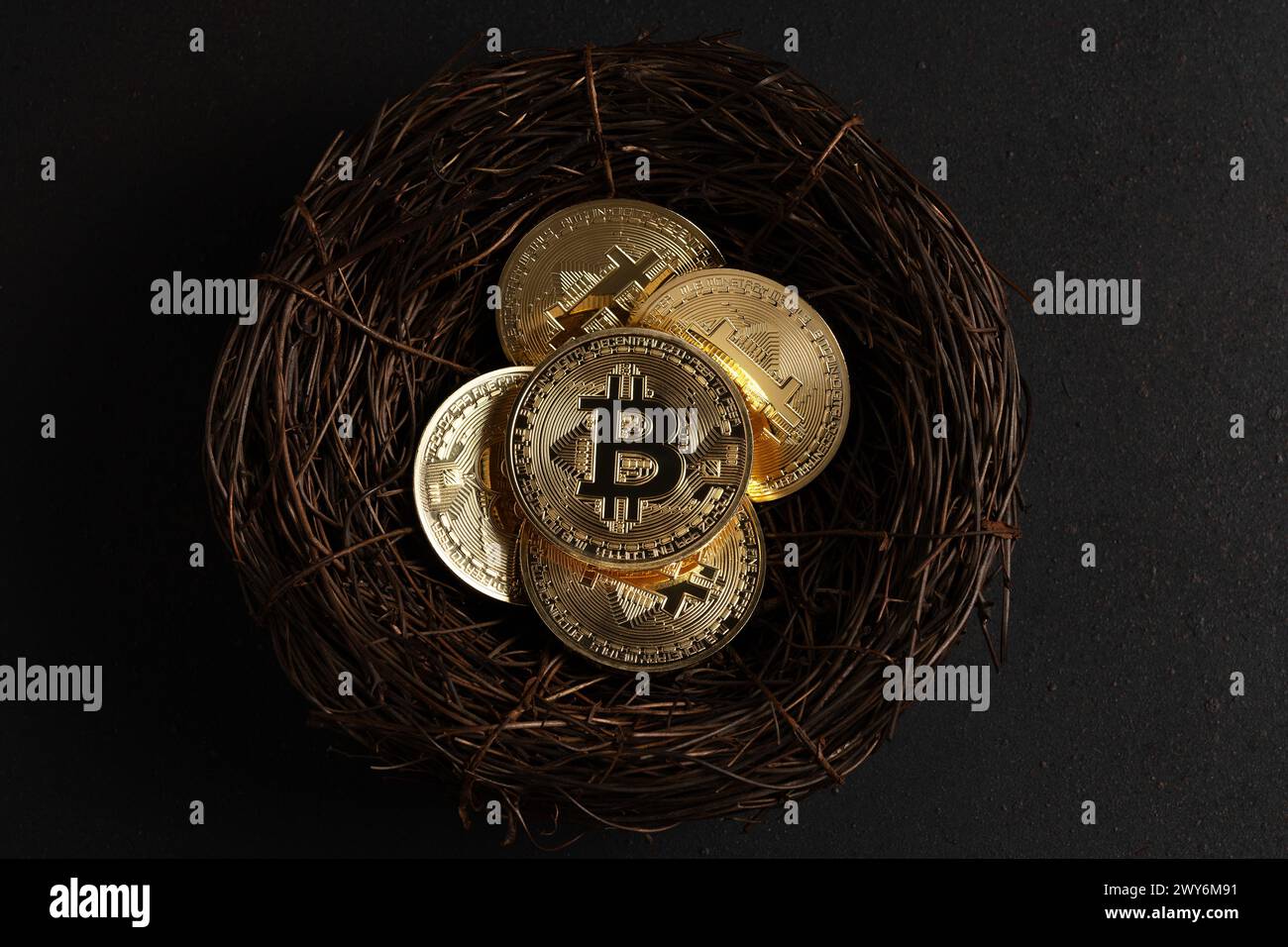 Minimal investing concept. Easter Gold Bitcoin coins in nest on black ...