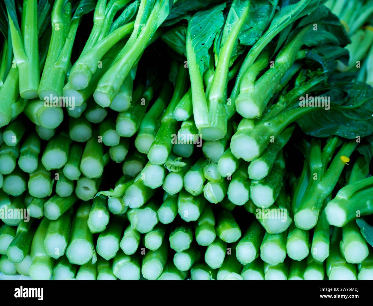Dongguan market hi-res stock photography and images - Alamy
