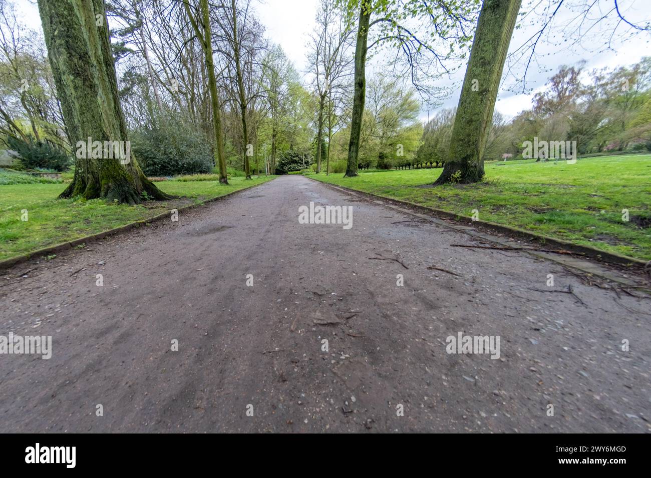 Desolate path hi-res stock photography and images - Alamy